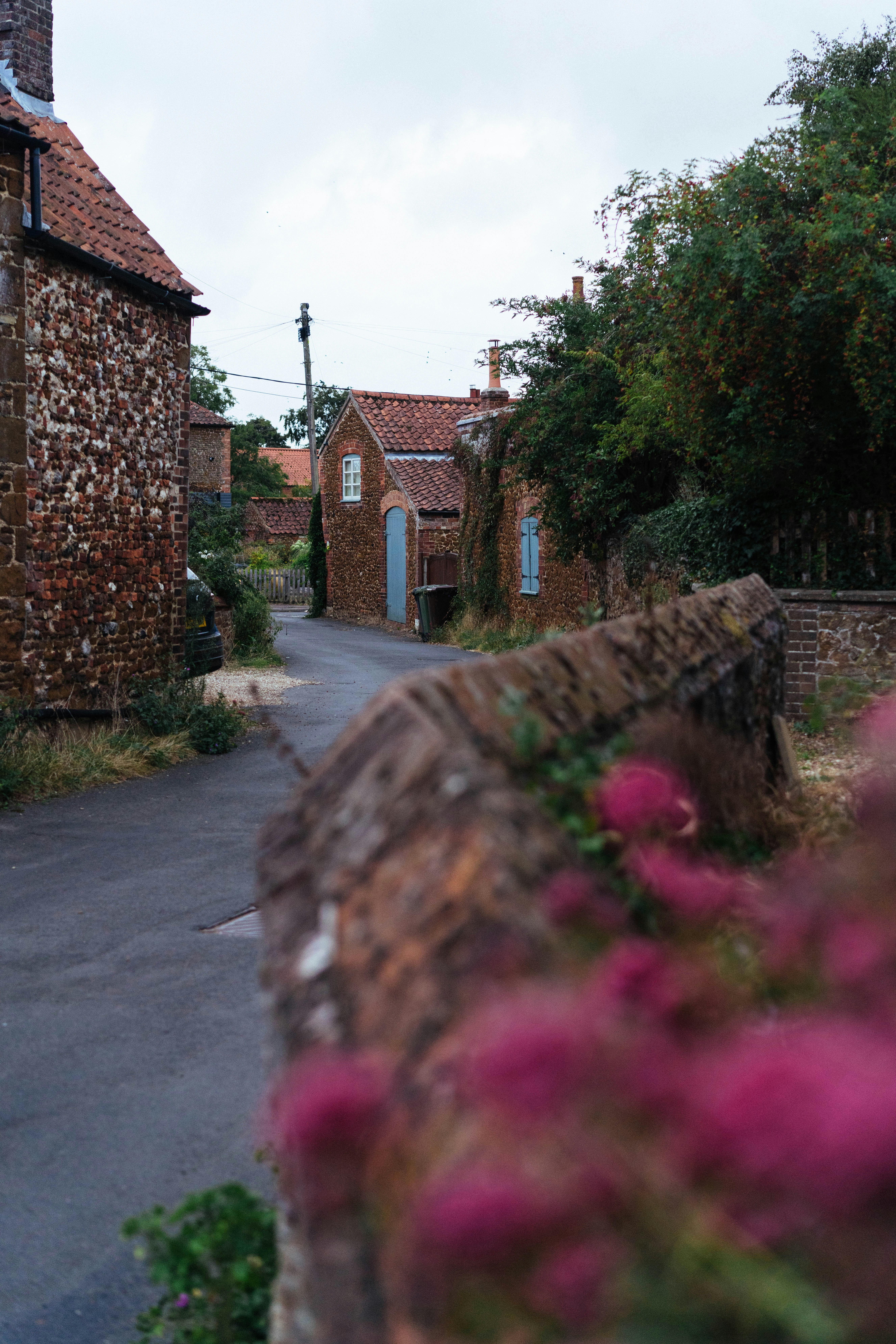 Stone wall and pink flowers in a village street.