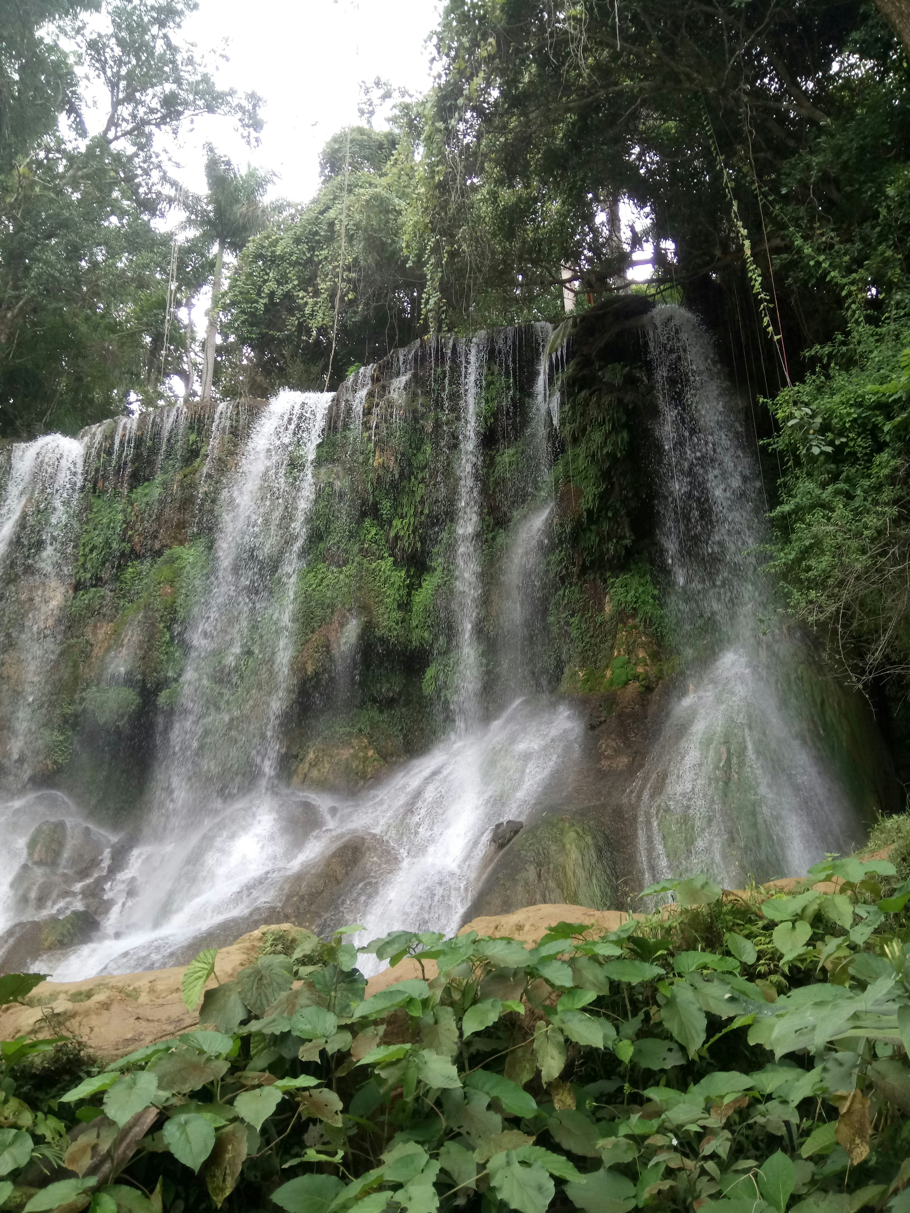 Nature's Cascading Symphony