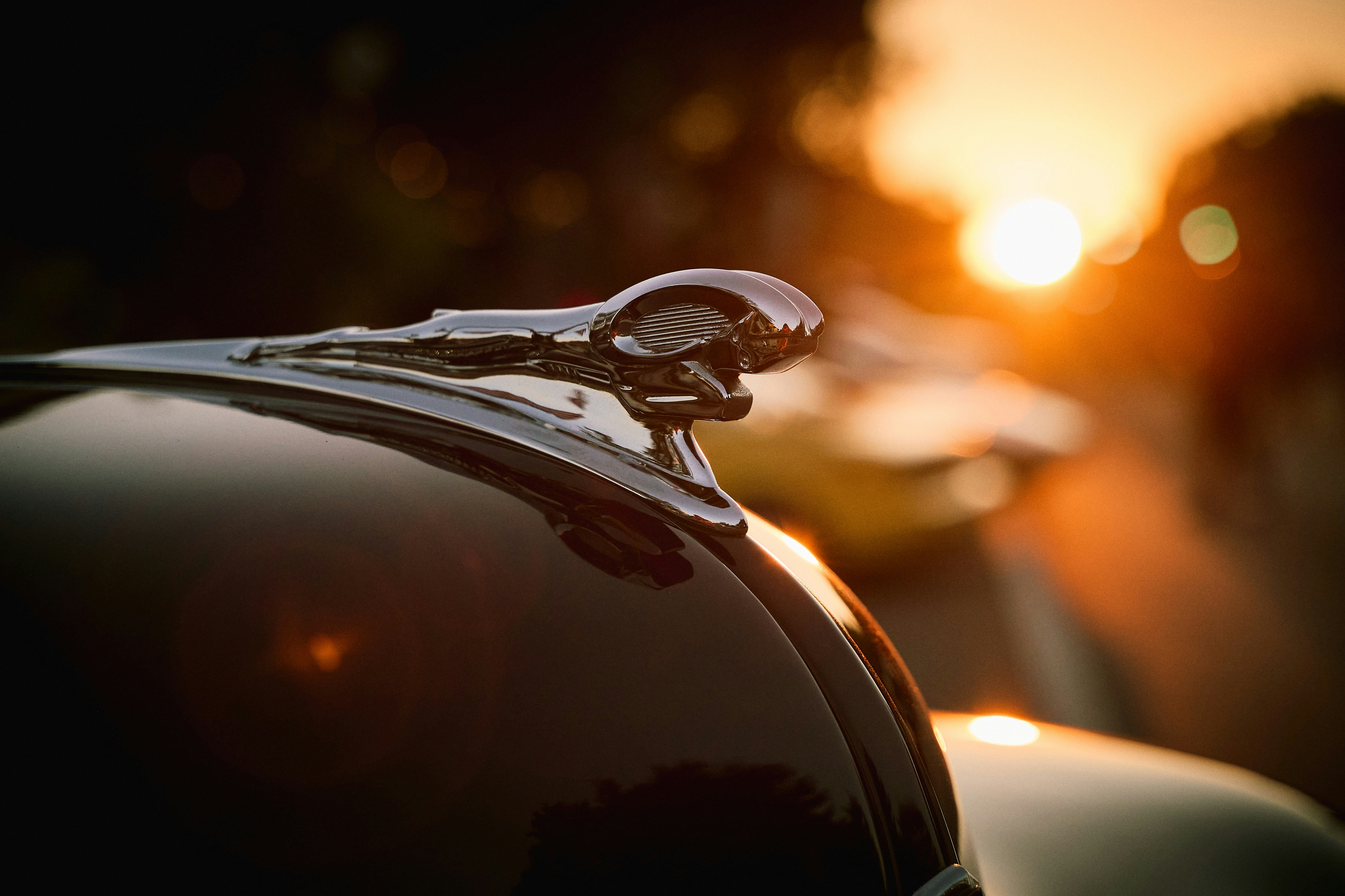 Elegance in Motion: A Classic Car's Glimmer