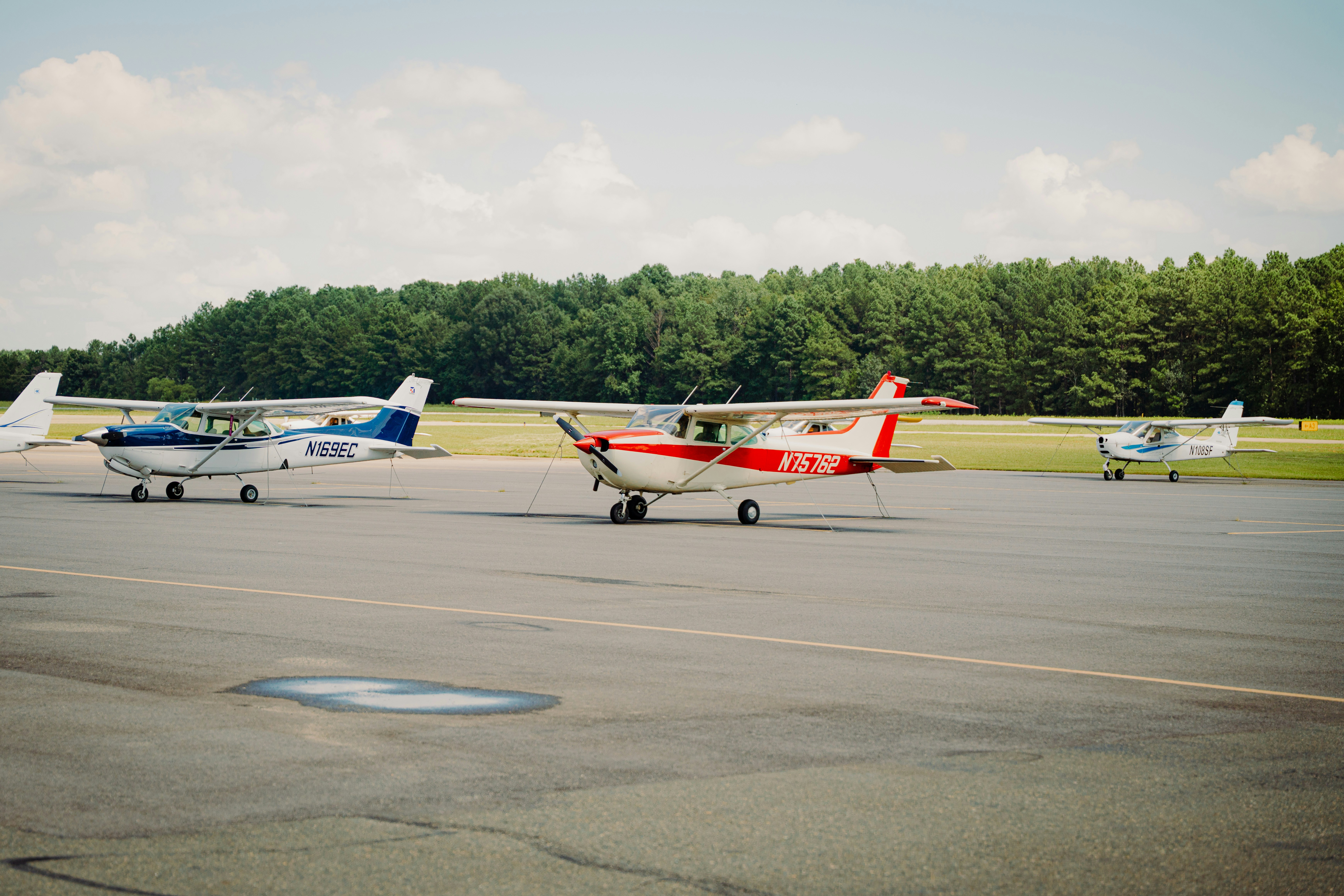 A Symphony of Wings on the Tarmac