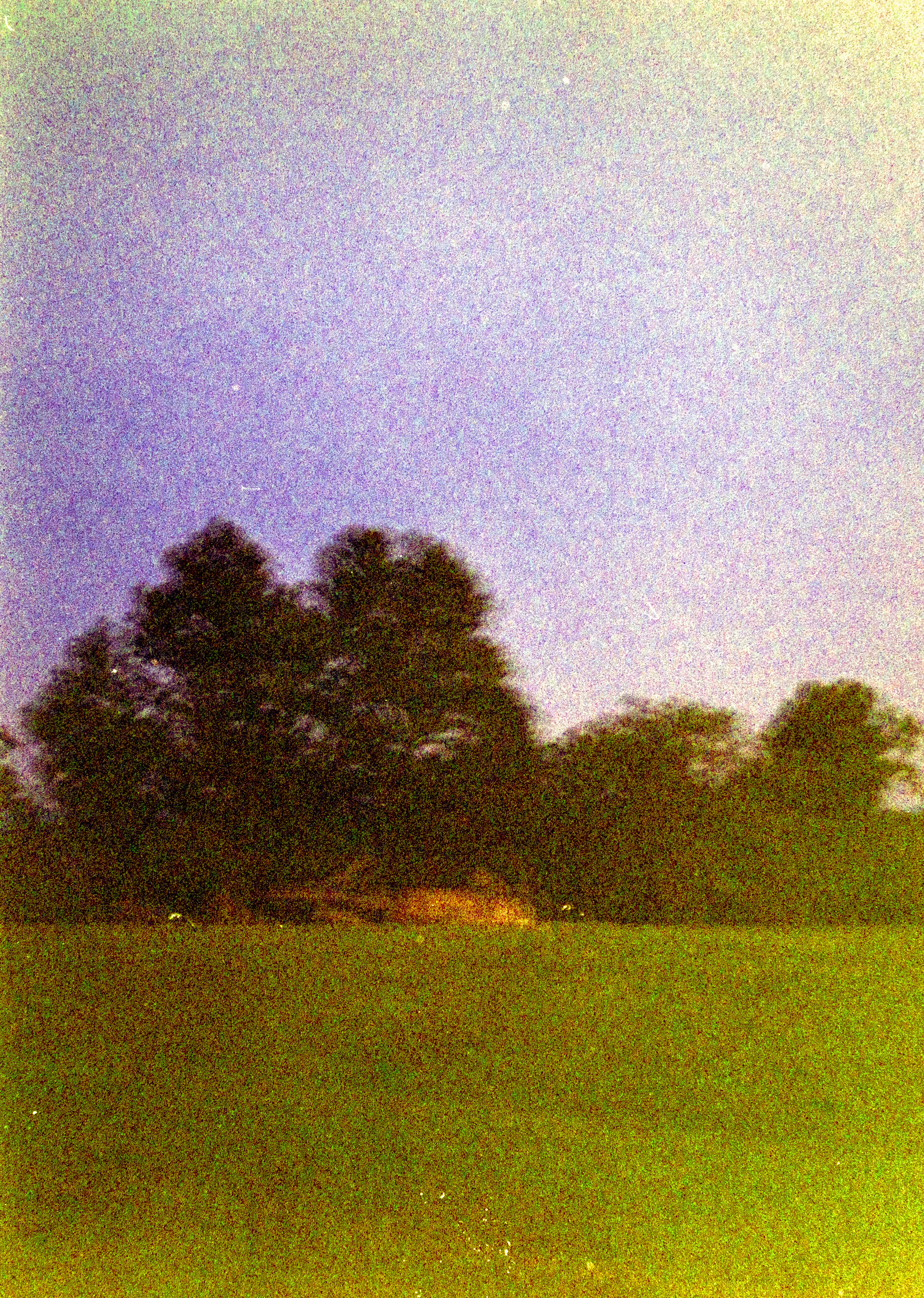Whispers of Dusk: Nature's Soft Embrace