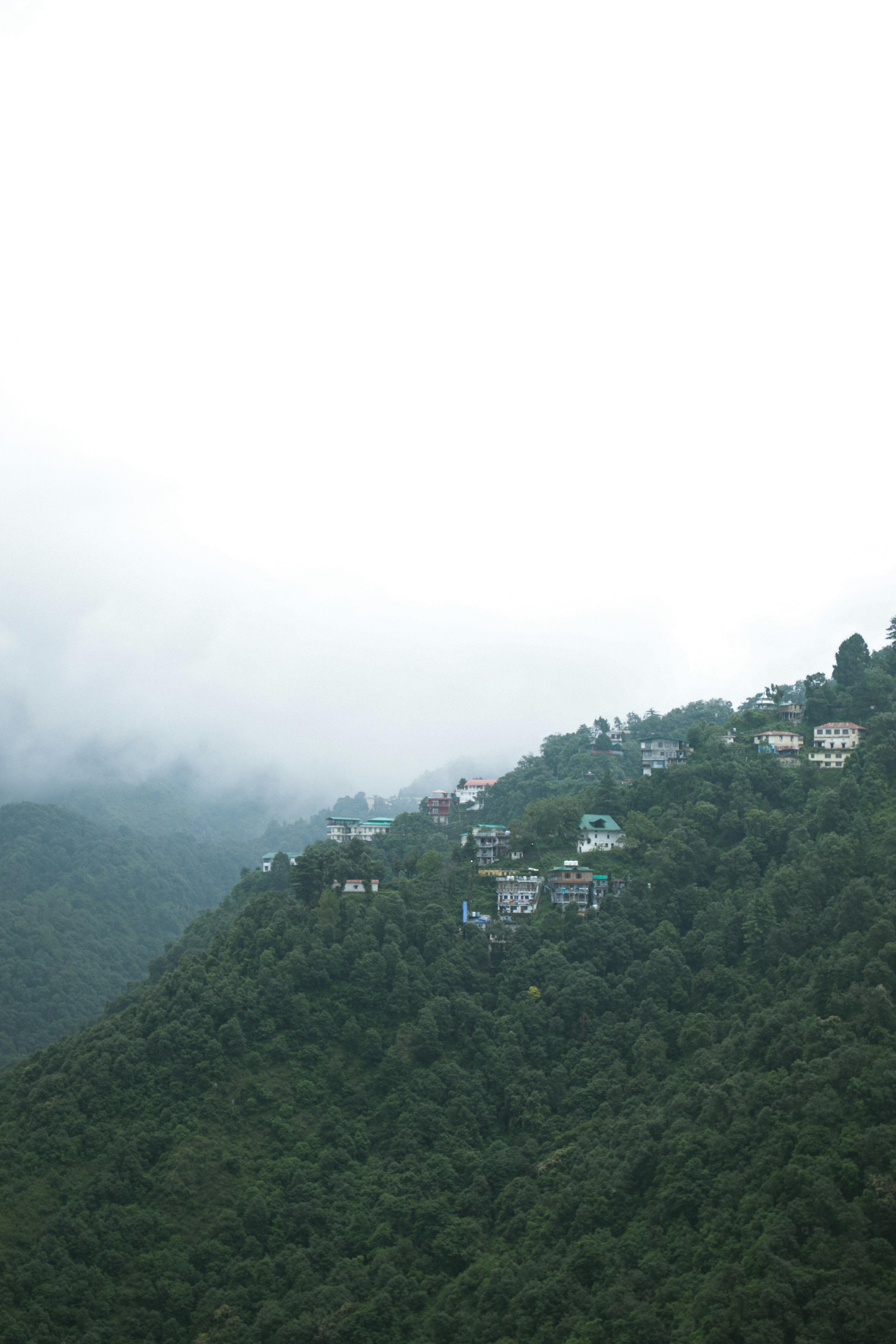 Whispers of the Misty Hills