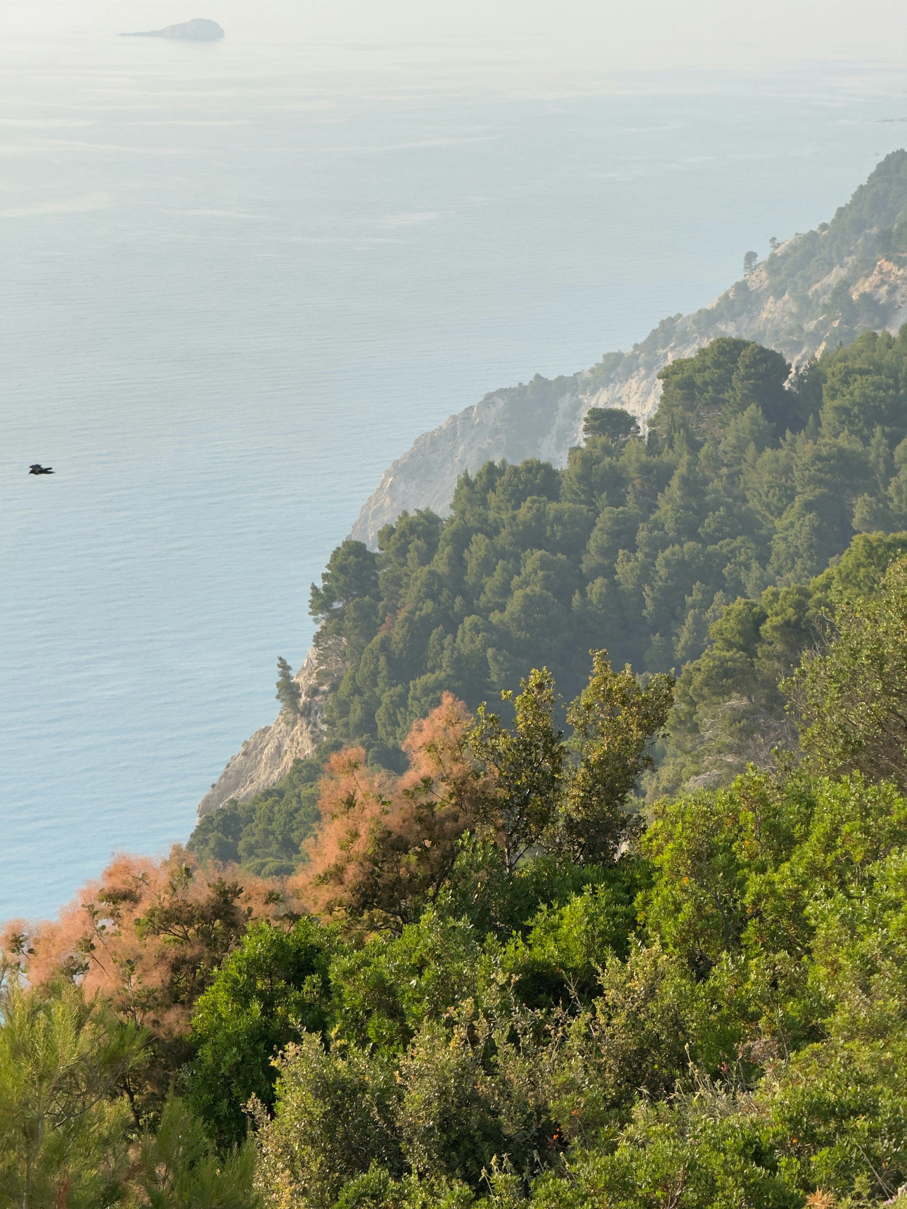 Lush greenery cascades down rugged cliffs towards a tranquil sea, with a distant island visible on the horizon.