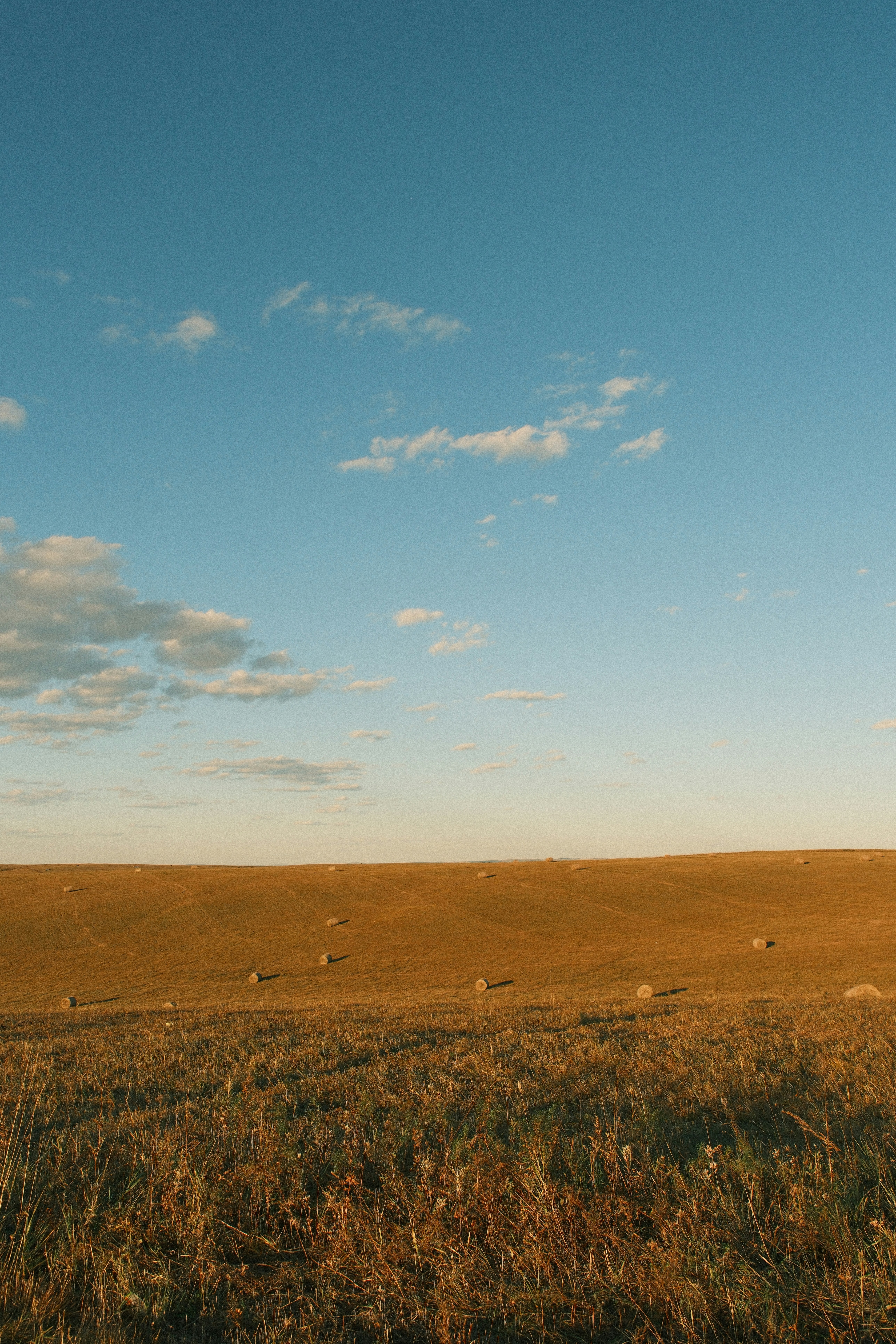 Golden field with hay bales under a blue sky.