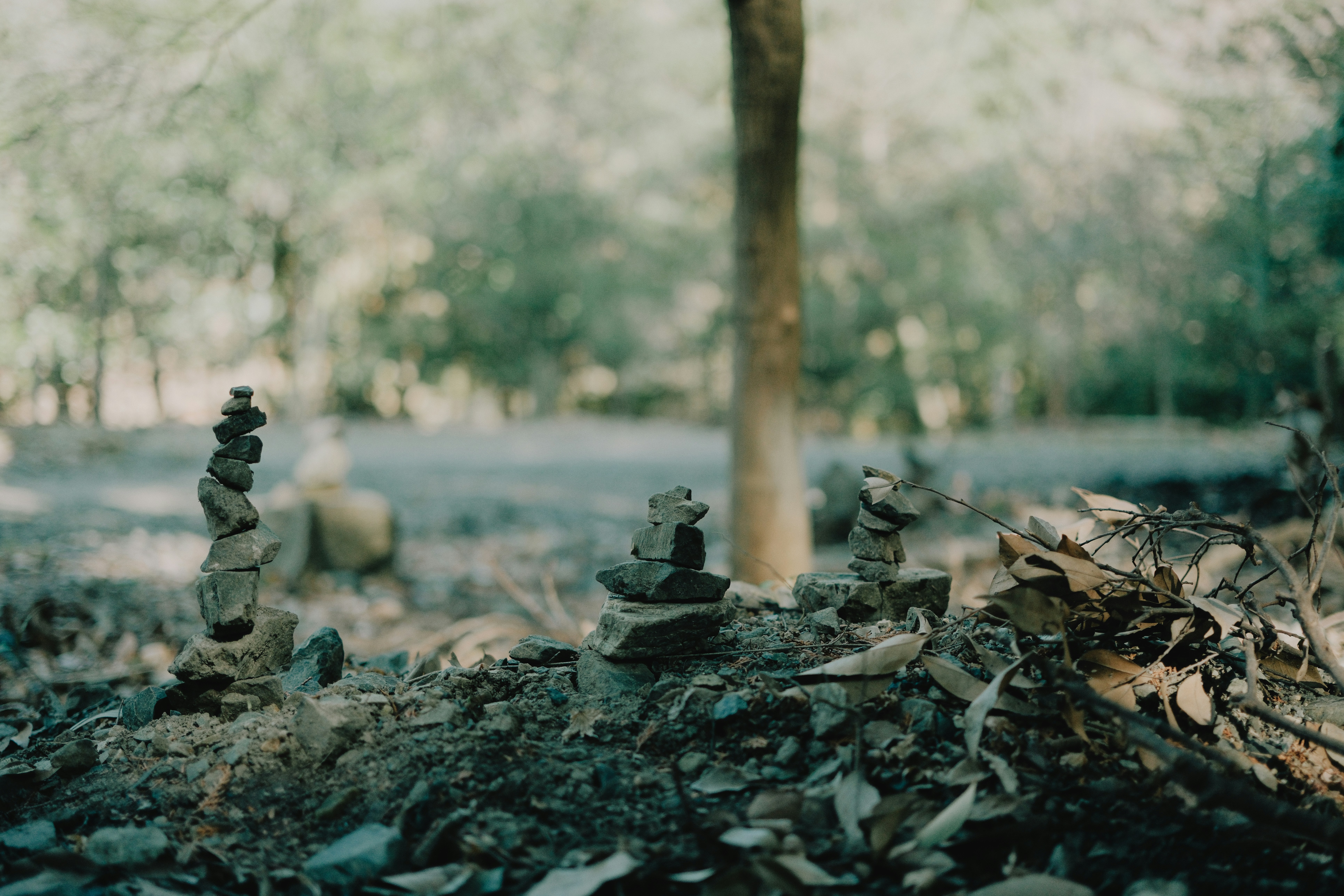 Stacked stones in a forest clearing