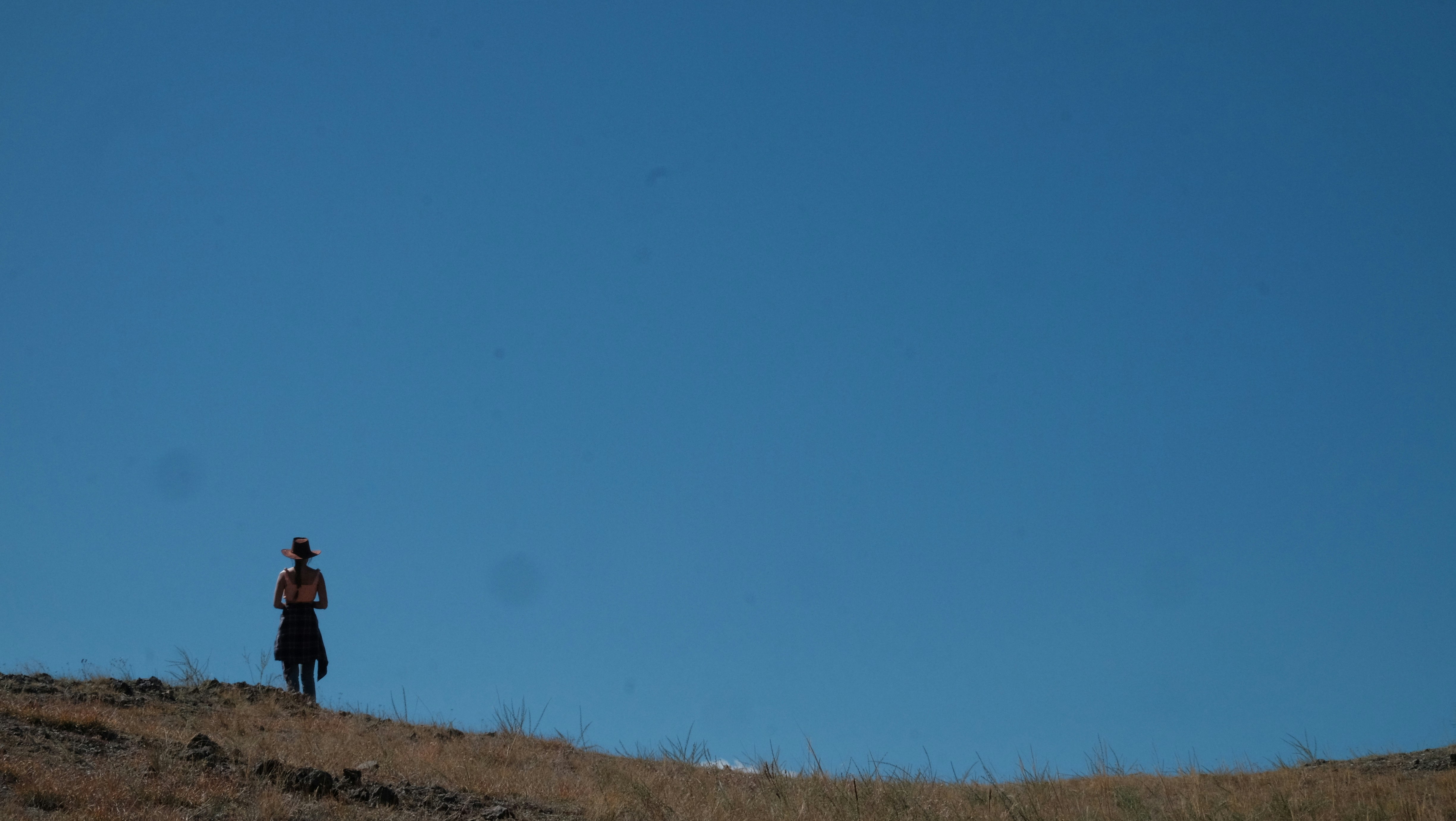 Solitary Wanderer Beneath the Vast Sky
