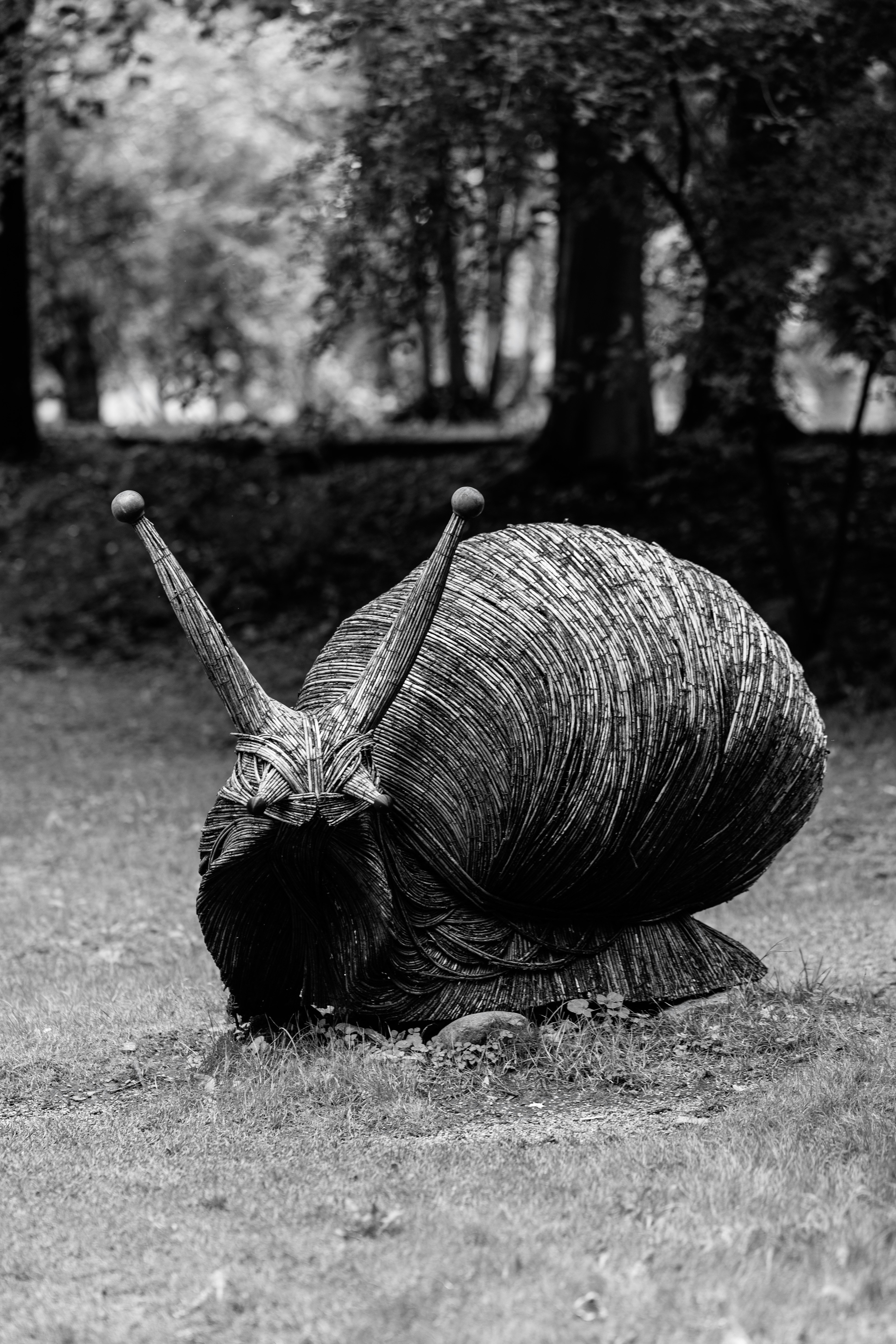 Nature's Whimsical Guardian: The Snail Sculpture