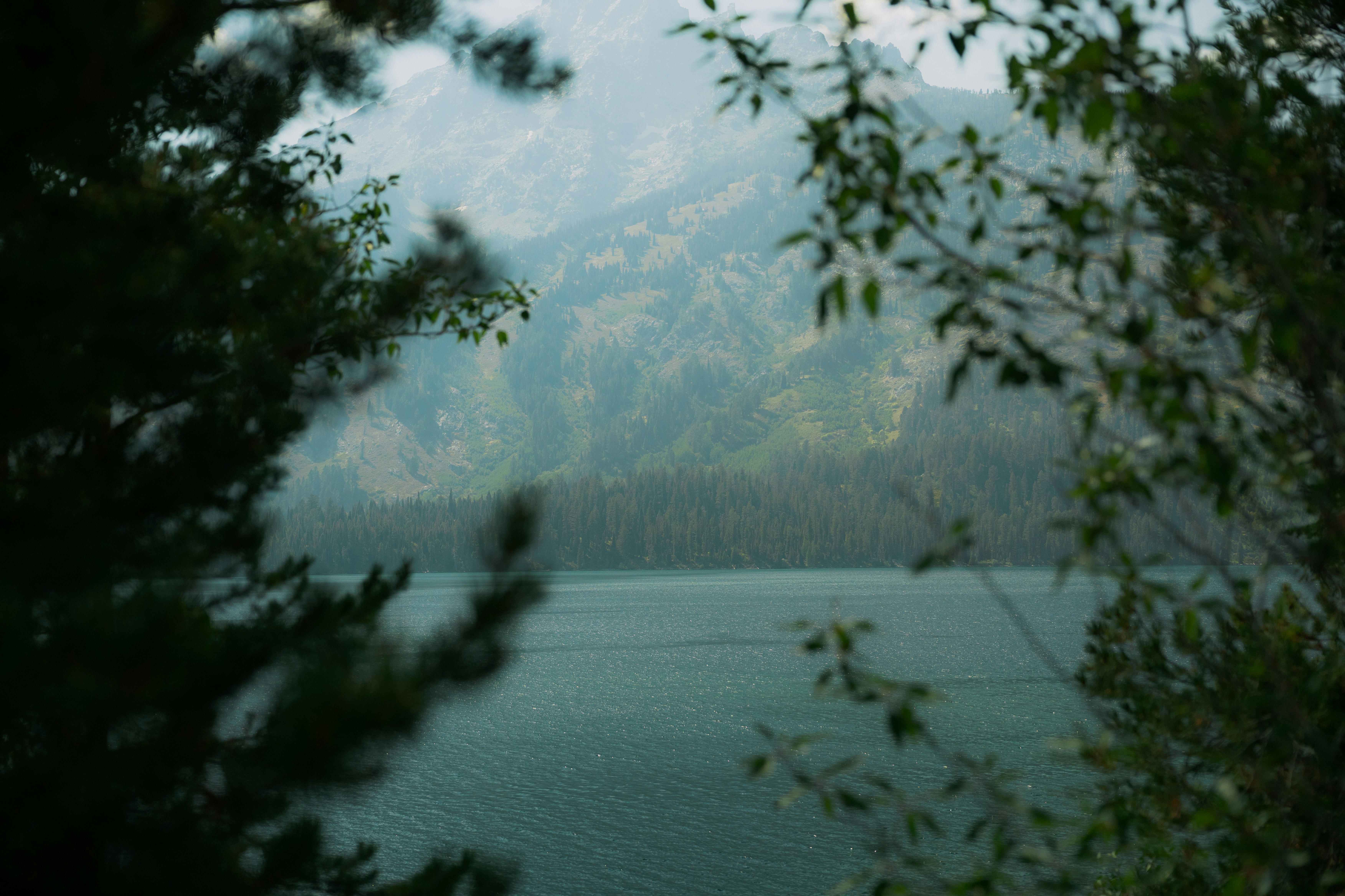 Misty lake surrounded by trees and mountains