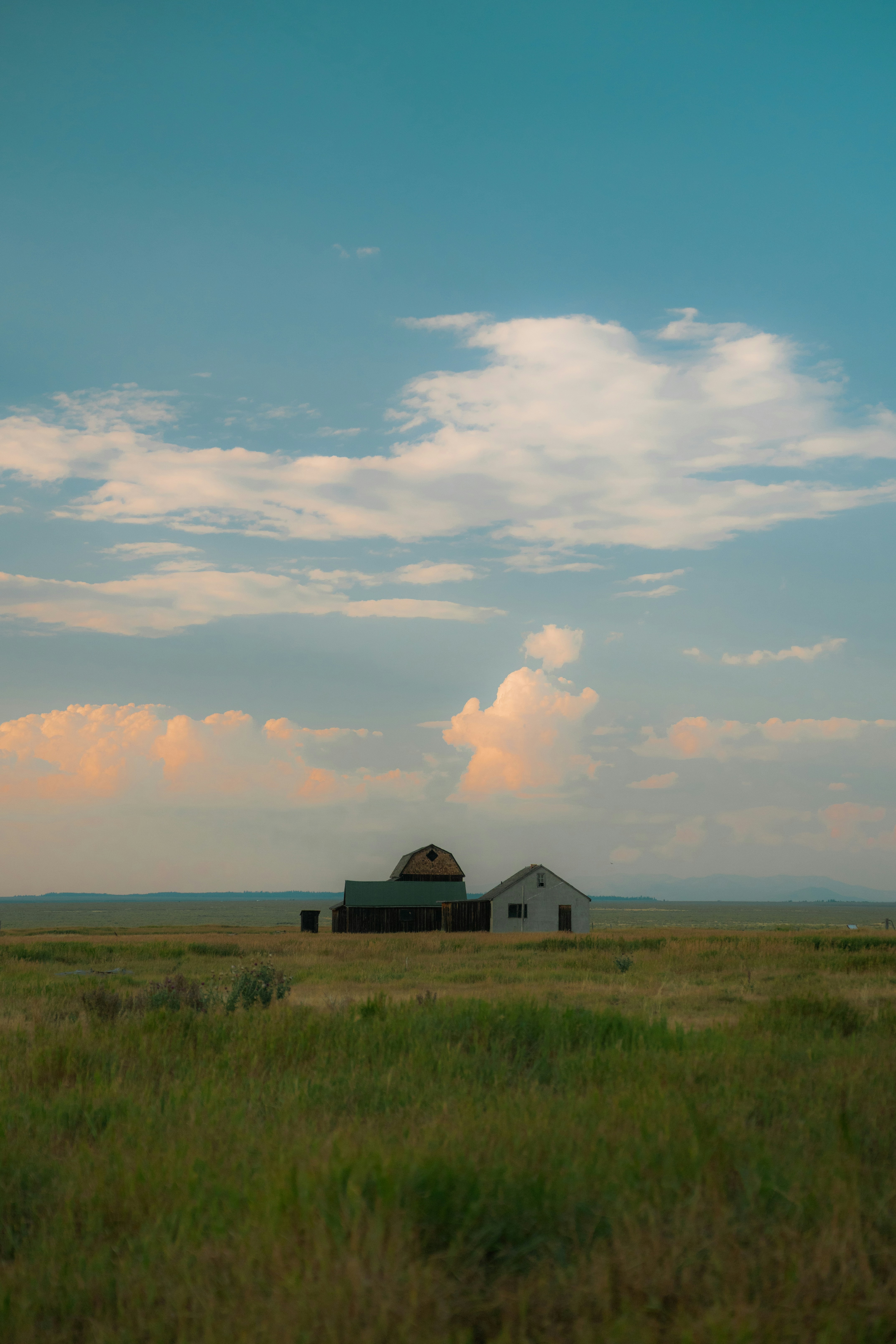 Rural farm buildings in a vast grassy field under sky.