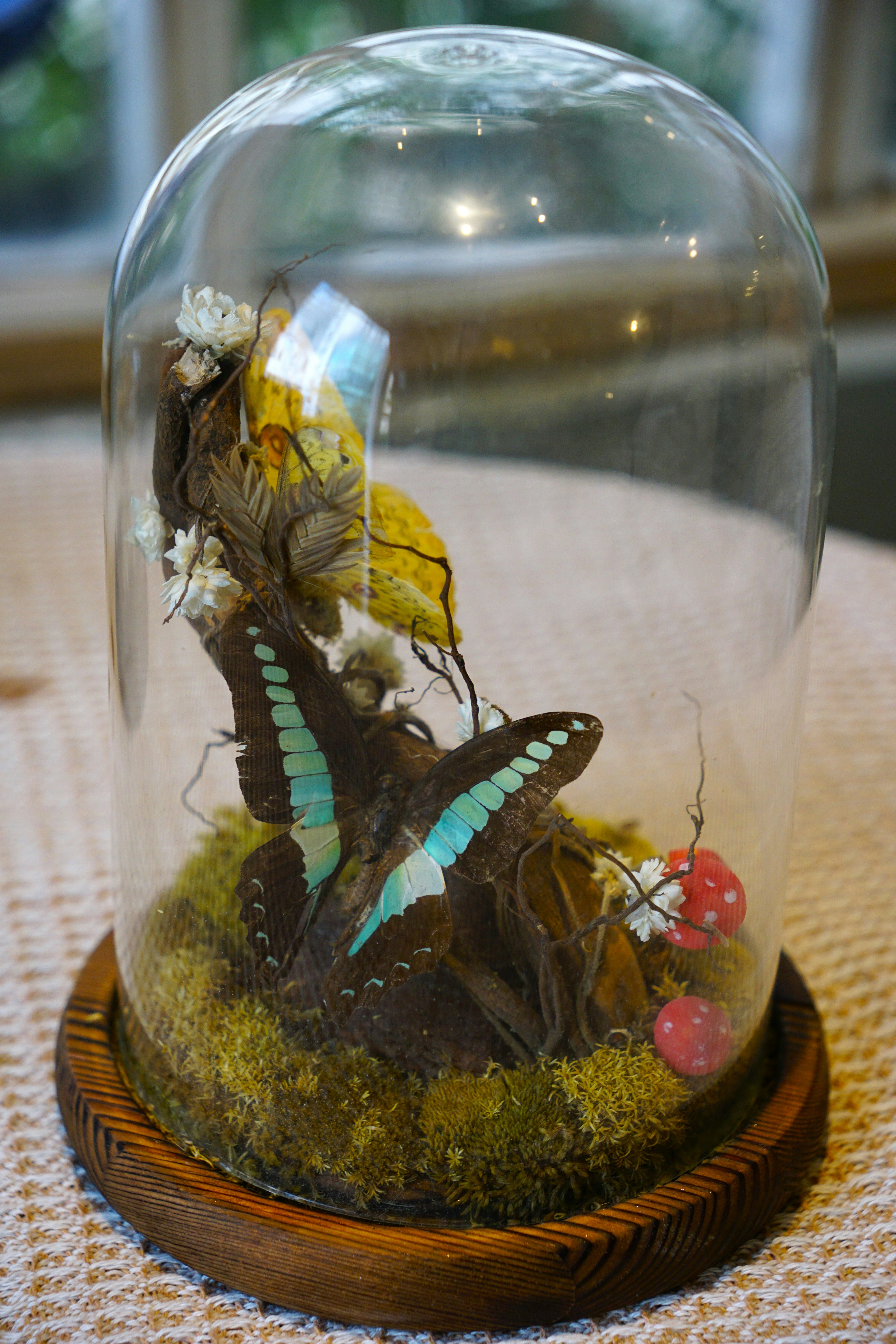 Whispers of Nature Encased