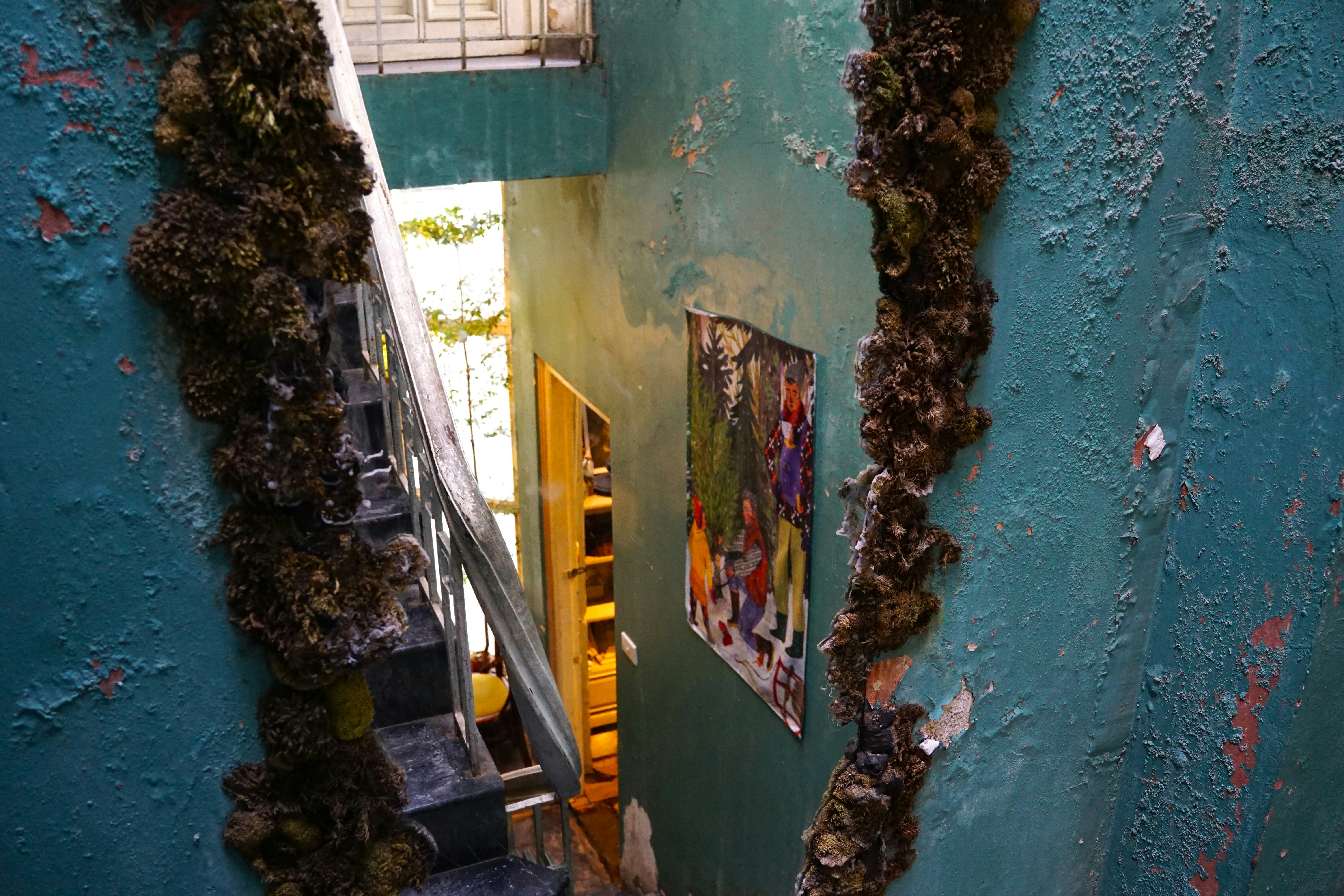 Teal-Walled Stairwell Framed by Moss, Opening onto a Warm Doorway