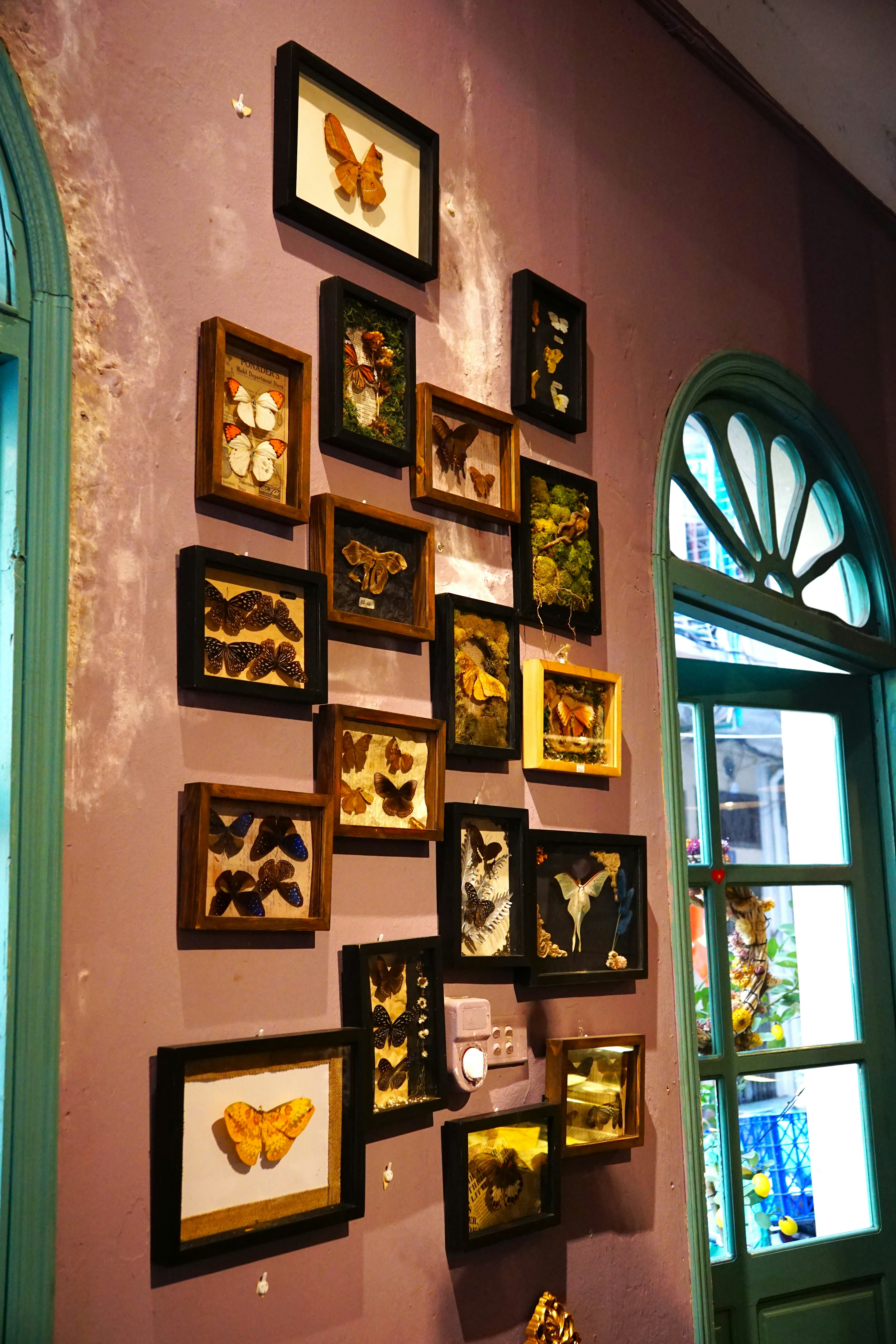 A Kaleidoscope of Nature: Framed Flutterers