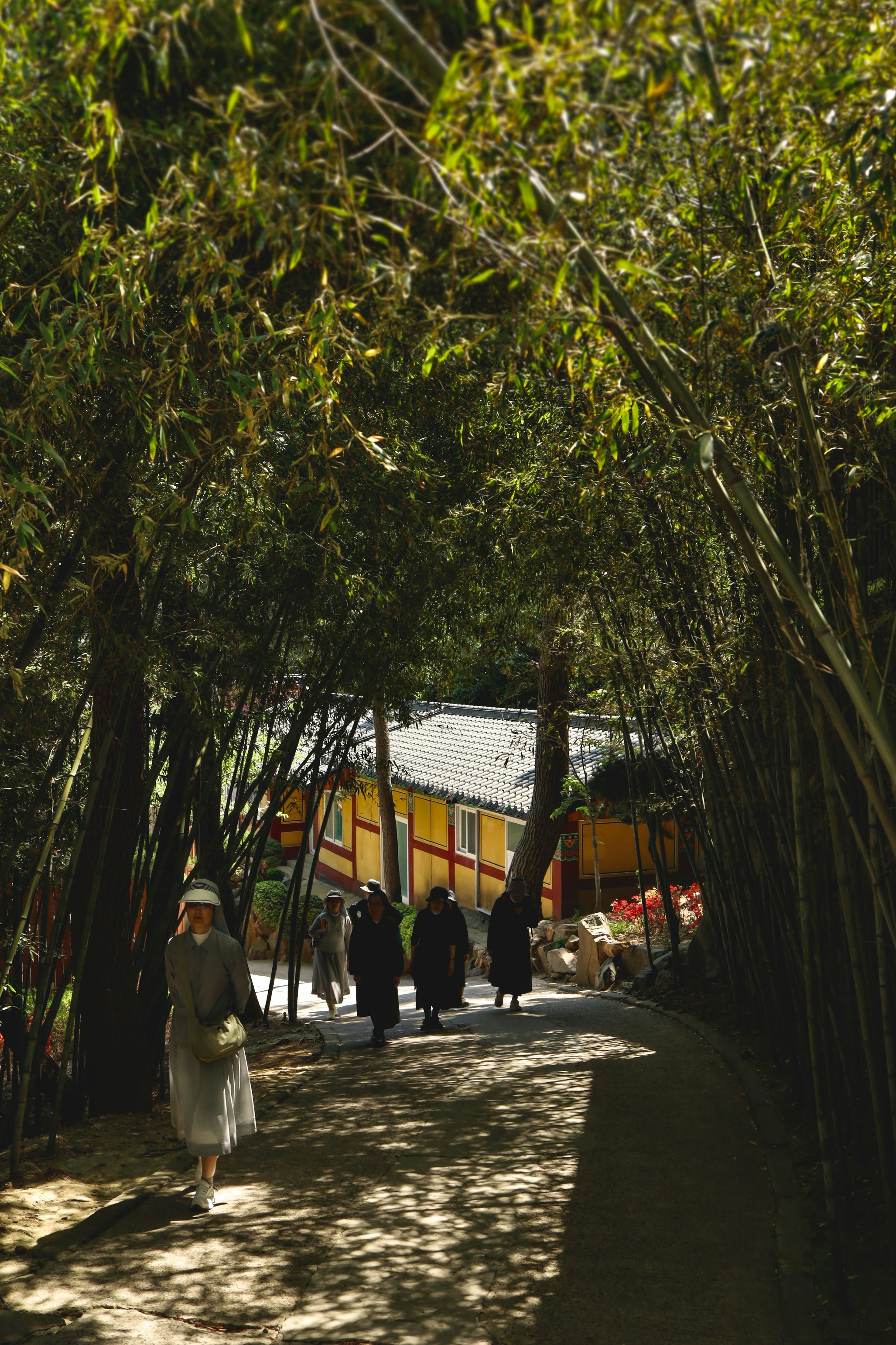 Whispers of the Bamboo Path