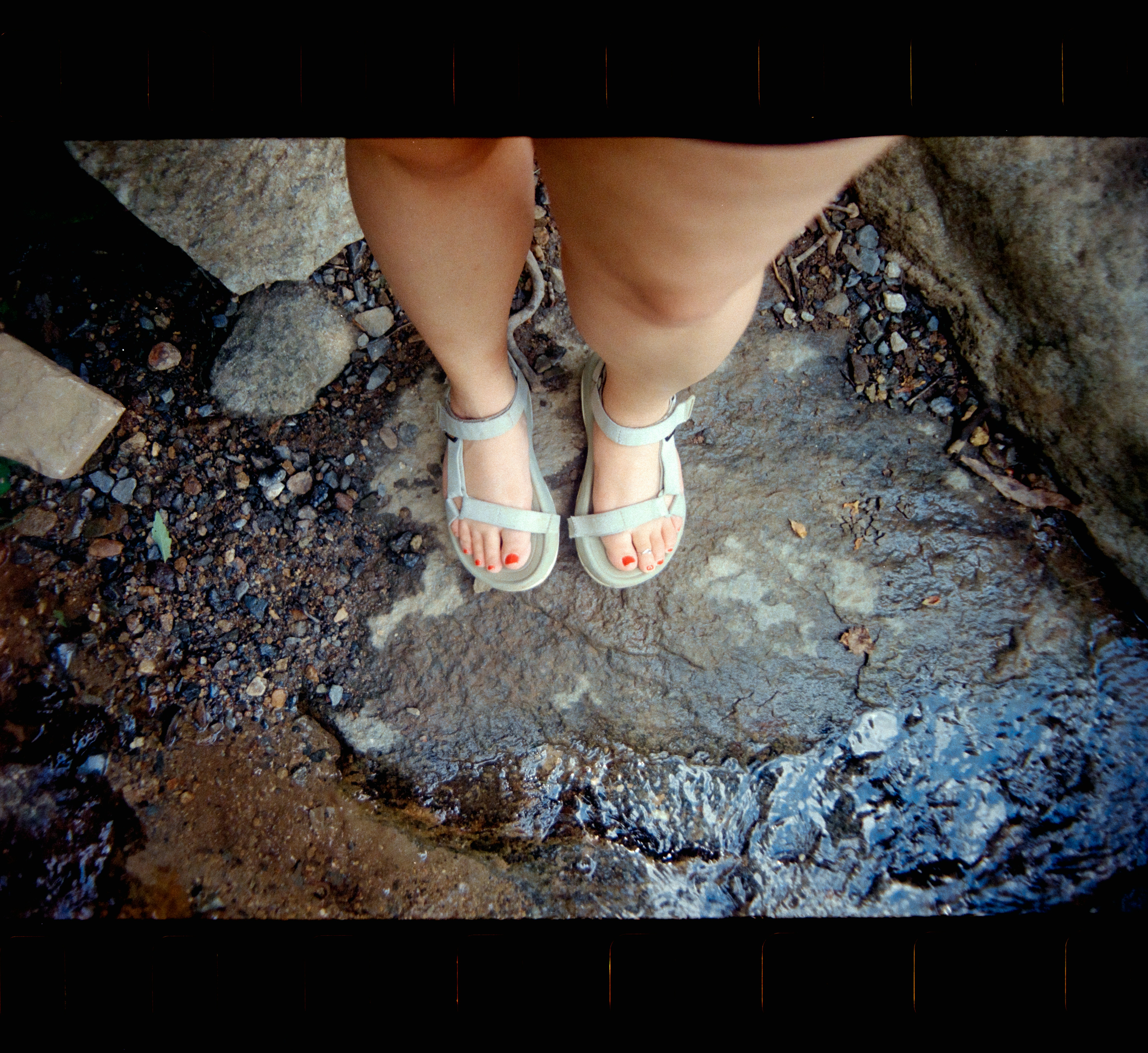 Steps into Nature's Embrace