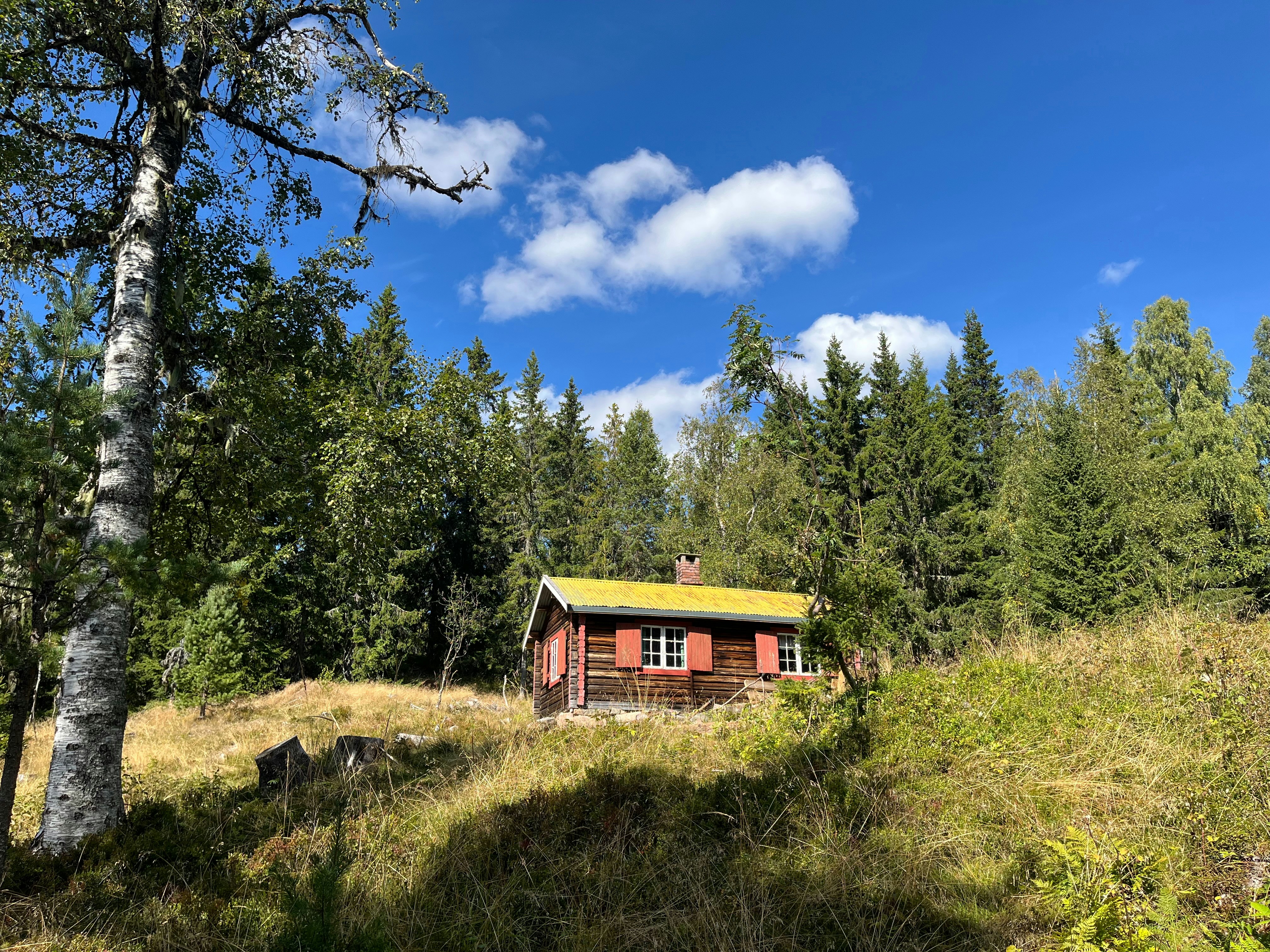 Whispers of Nature: A Rustic Retreat