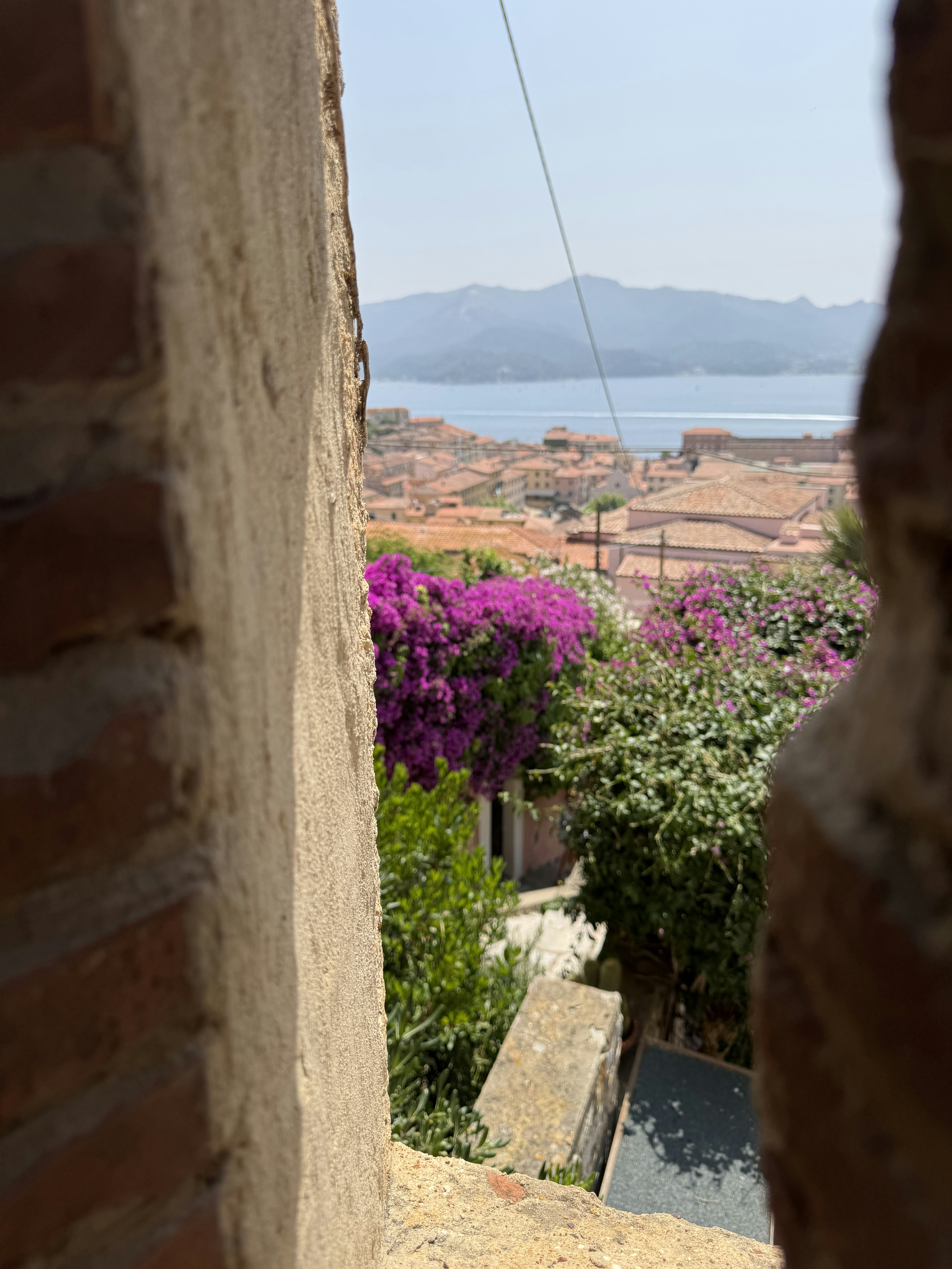 Ein malerischer Blick von der Insel Elba in der Toskana, Italien: Zwischen alten Steinmauern eröffnet sich ein Panorama aus Terrakotta-Dächern, leuchtender Bougainvillea und dem tiefblauen Mittelmeer, eingerahmt von sanften Bergen am Horizont. | View of coastal town with blooming flowers and ocean