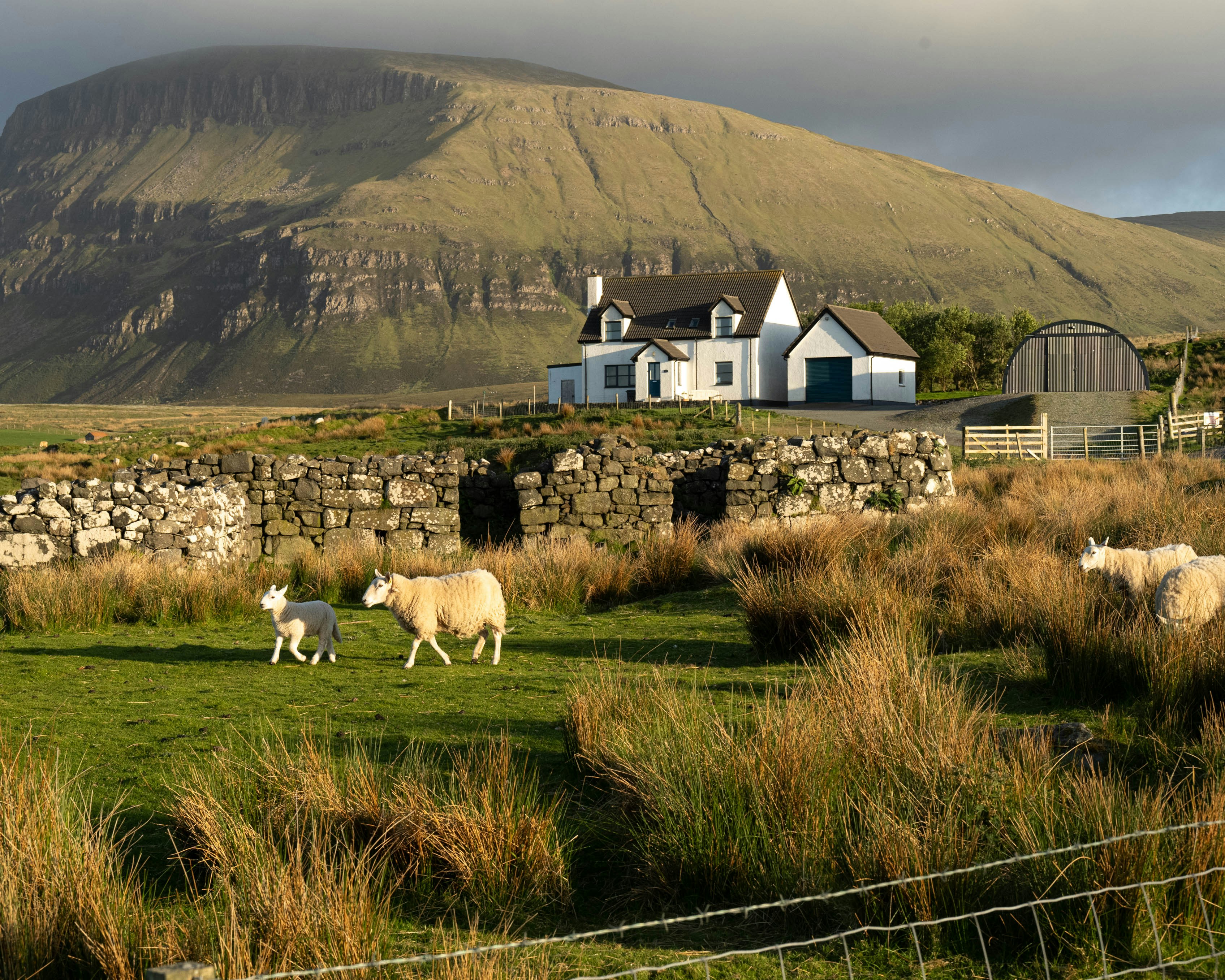 Harmony of Pastoral Life Against Mountain Majesty