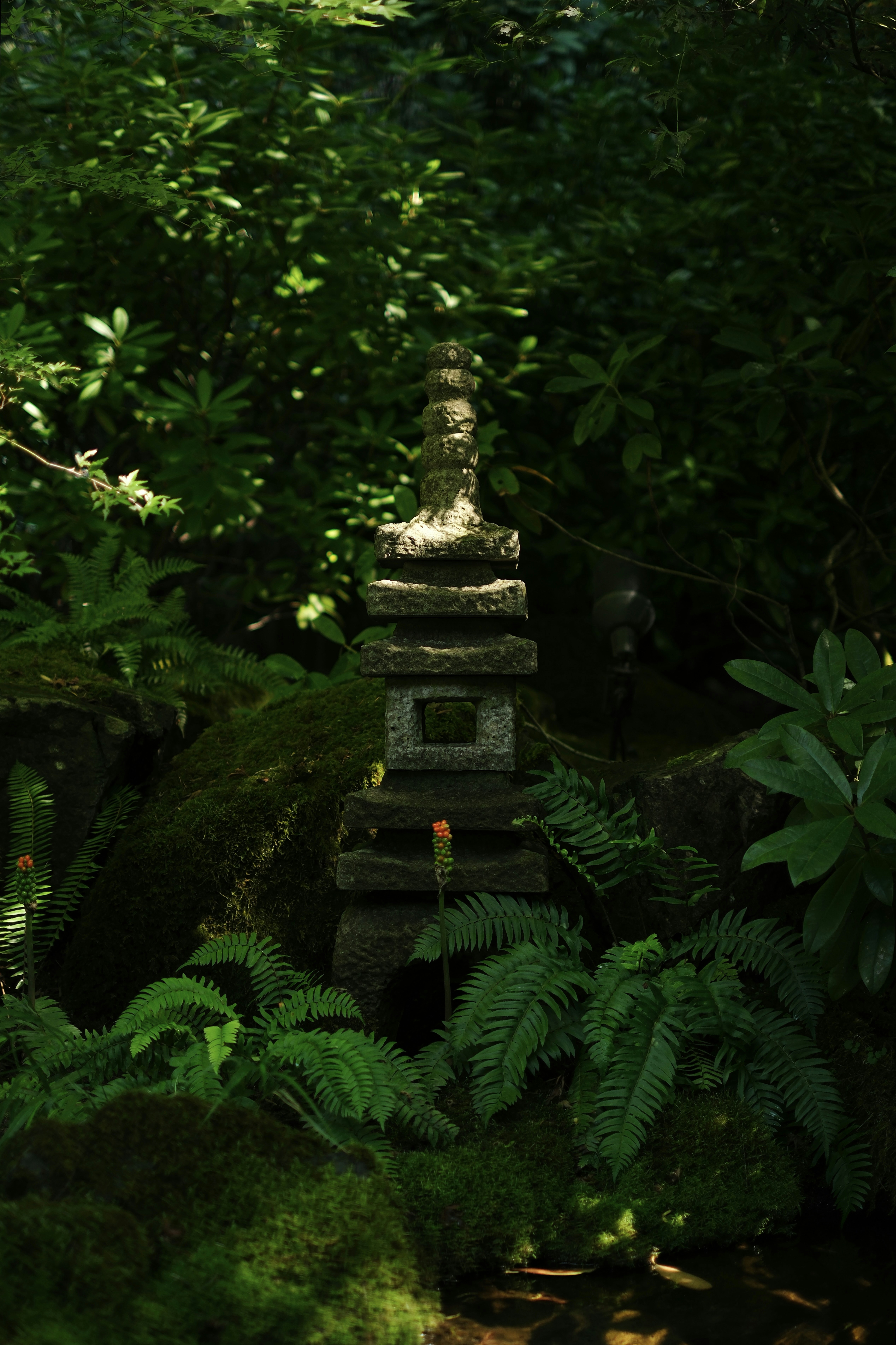 Instagram - @kaprion | Stone pagoda lantern surrounded by lush green ferns