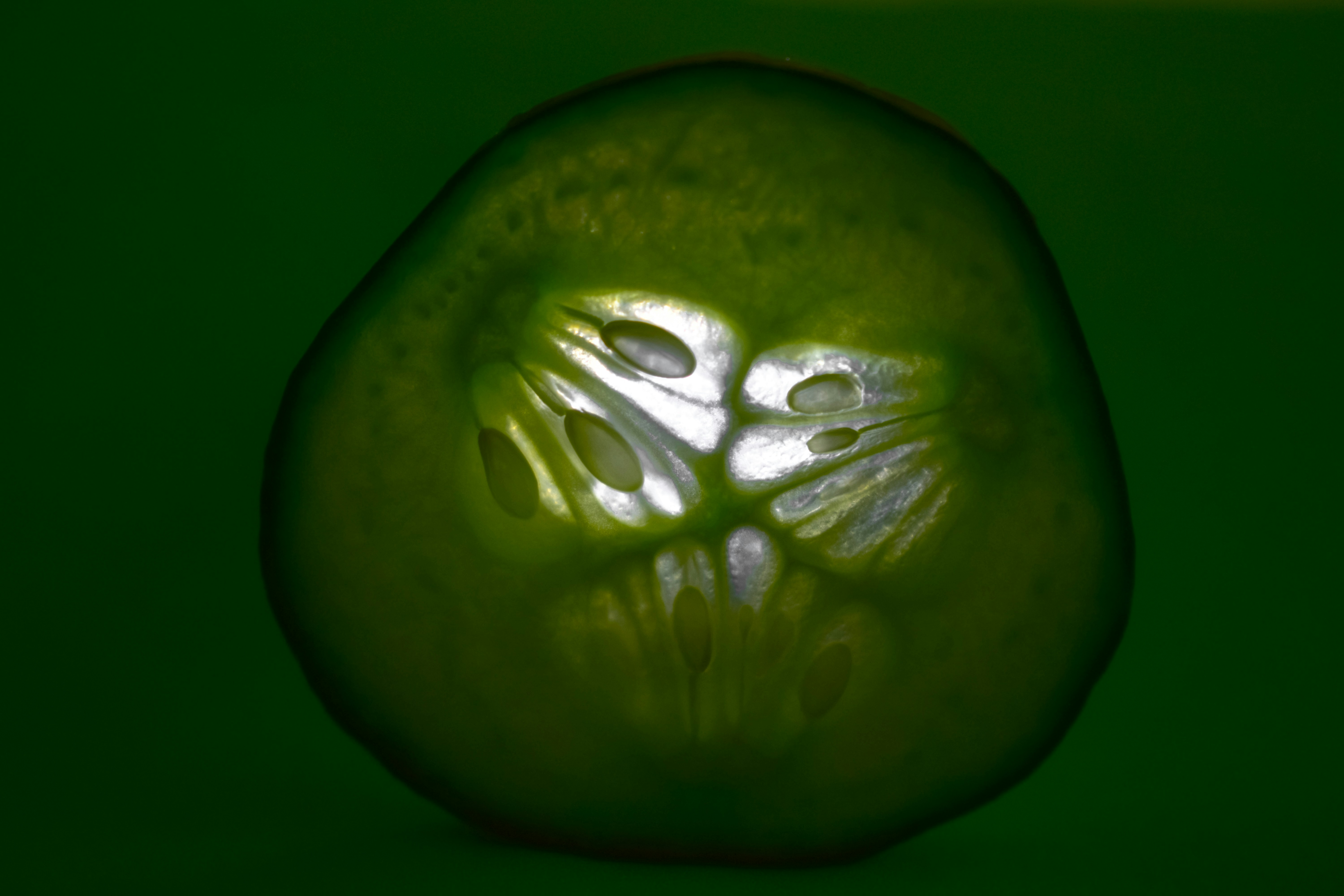 A backlit slice of cucumber in front of a green background | Close-up of a backlit cucumber slice on green