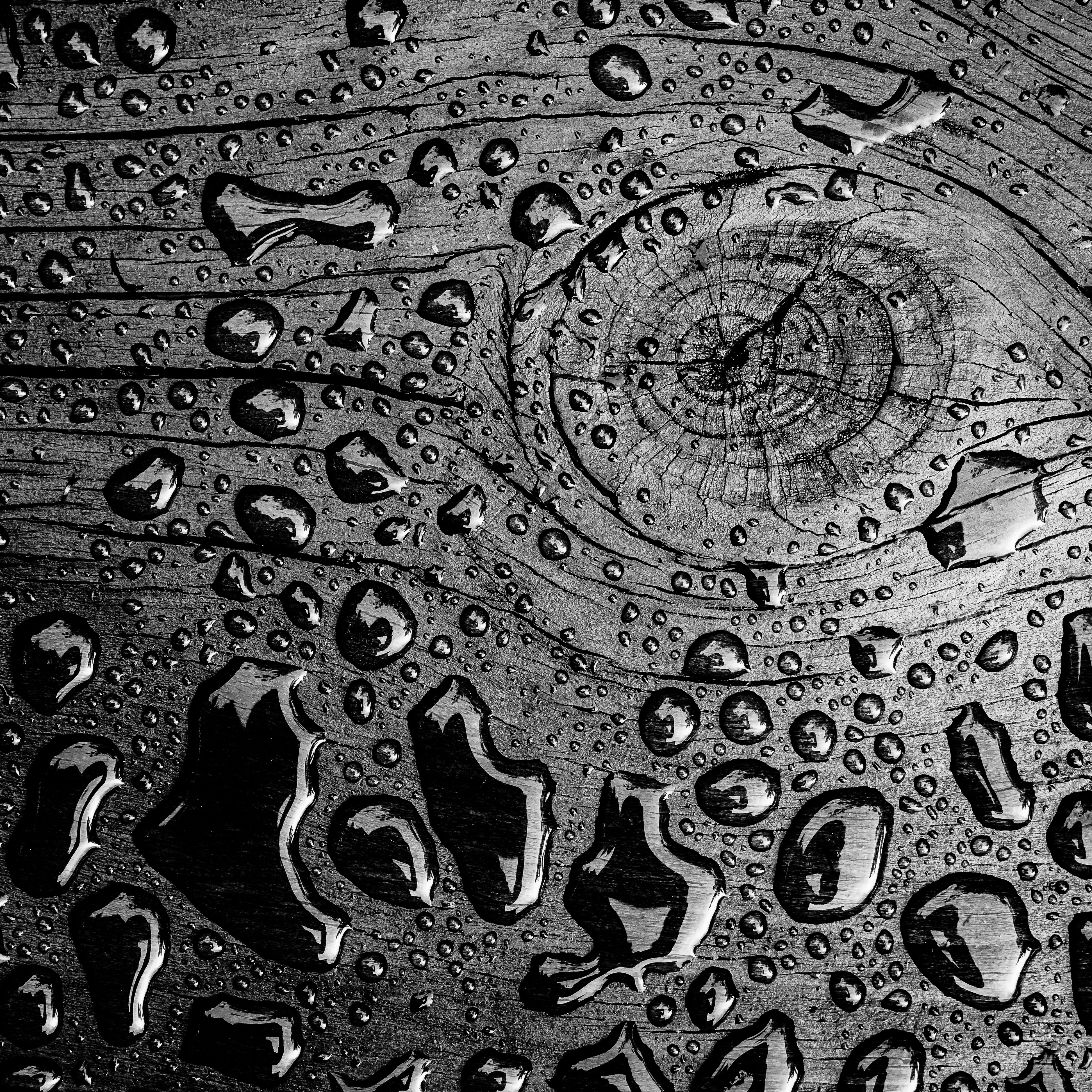 Ripples of Time: The Dance of Water on Wood