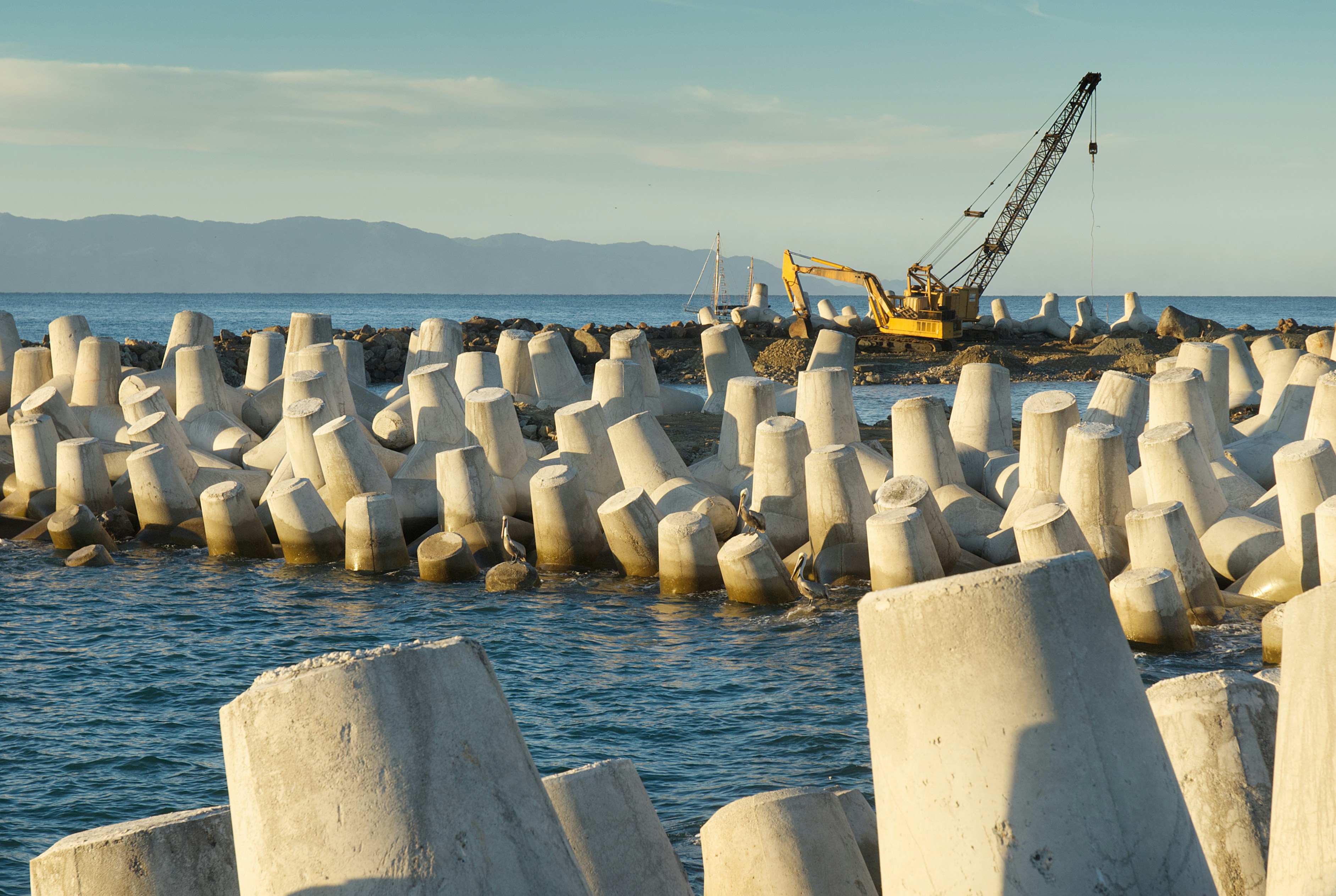 Harbor's Silent Guardians: The Concrete Sentinels