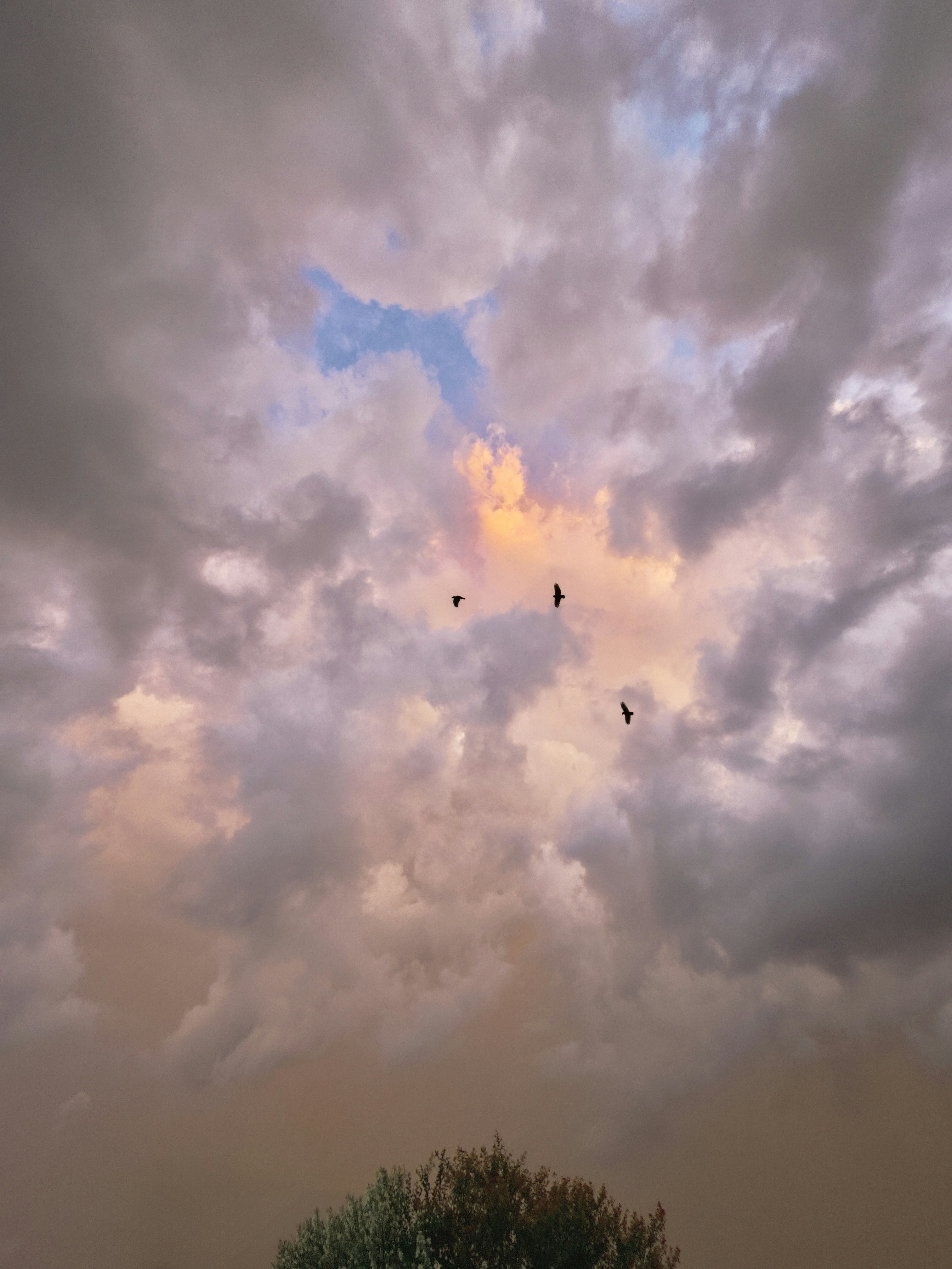Whispers of the Sky: A Dance of Clouds and Birds