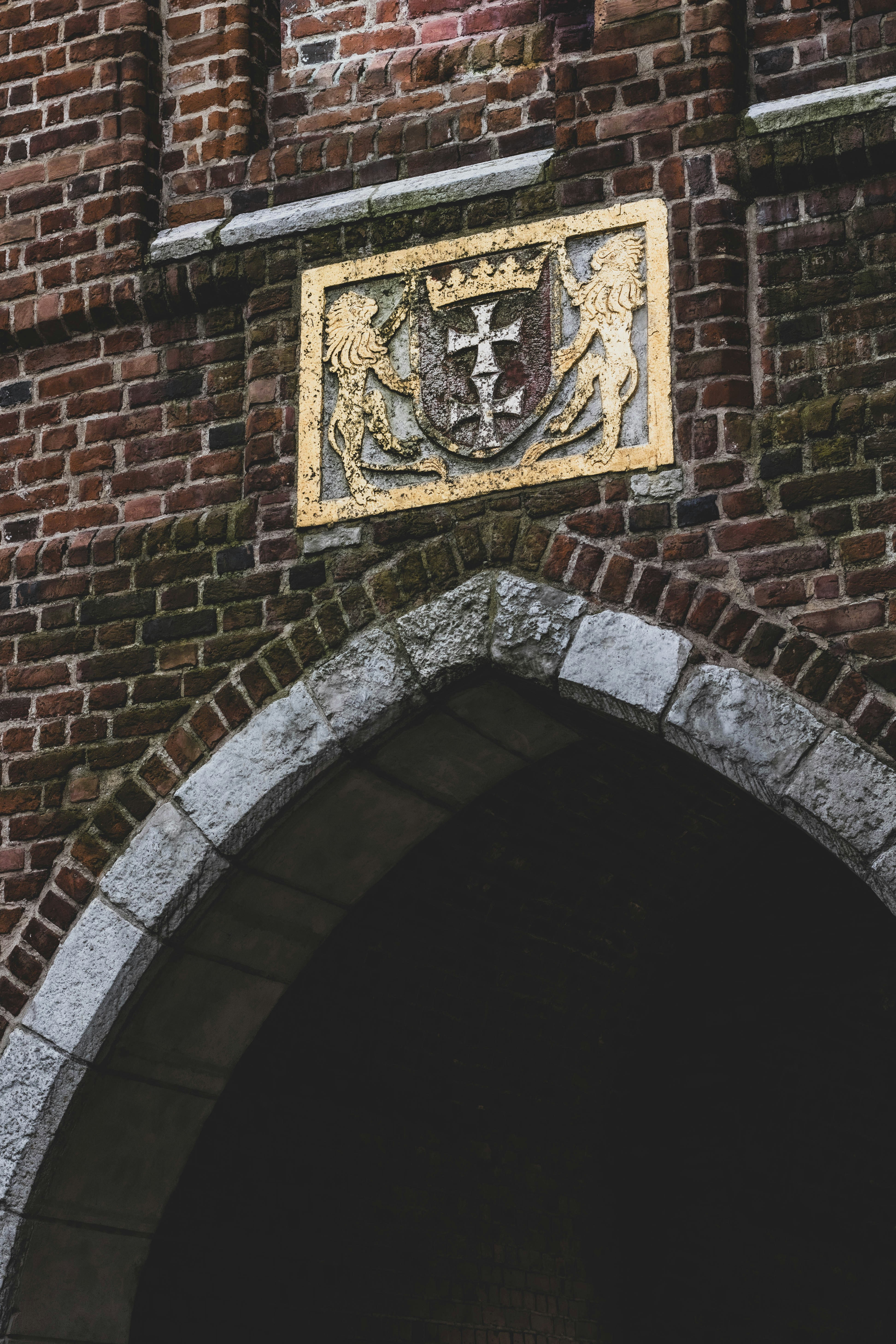 Heraldic Elegance: A Timeless Emblem