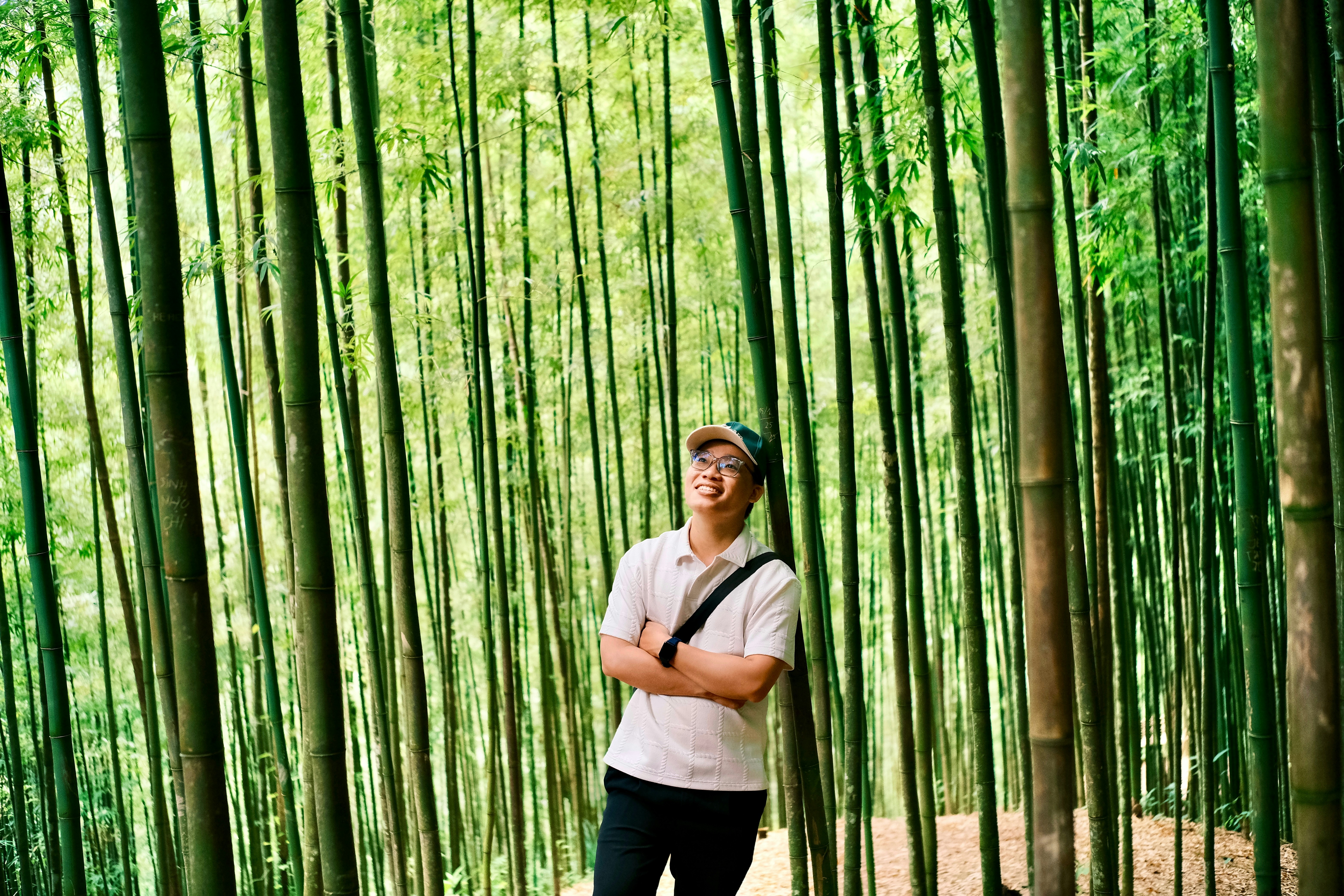 A person stands relaxed among towering bamboo stalks, embodying tranquility in a lush green setting.