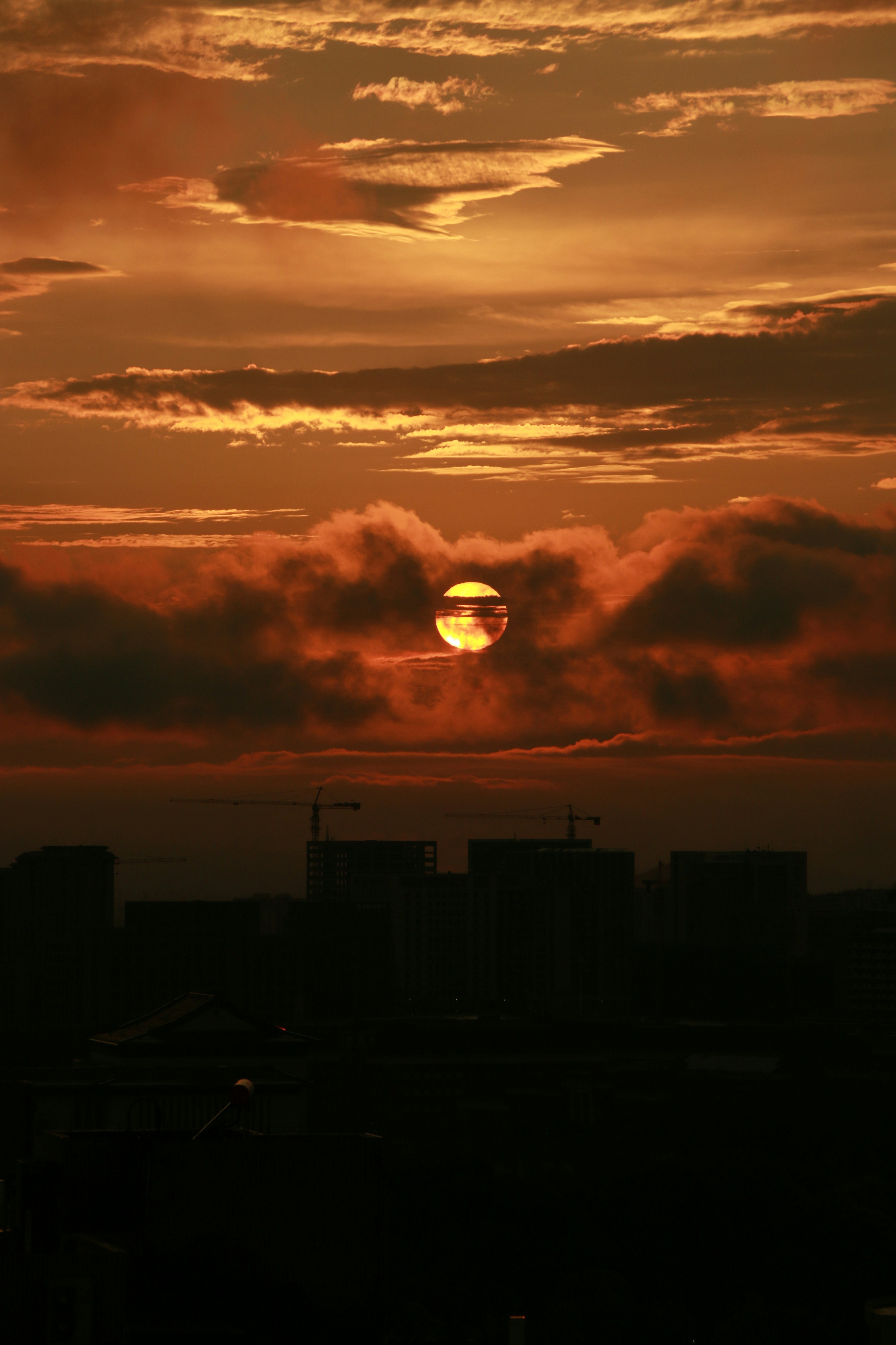 Golden Horizon: The Day's Last Embrace