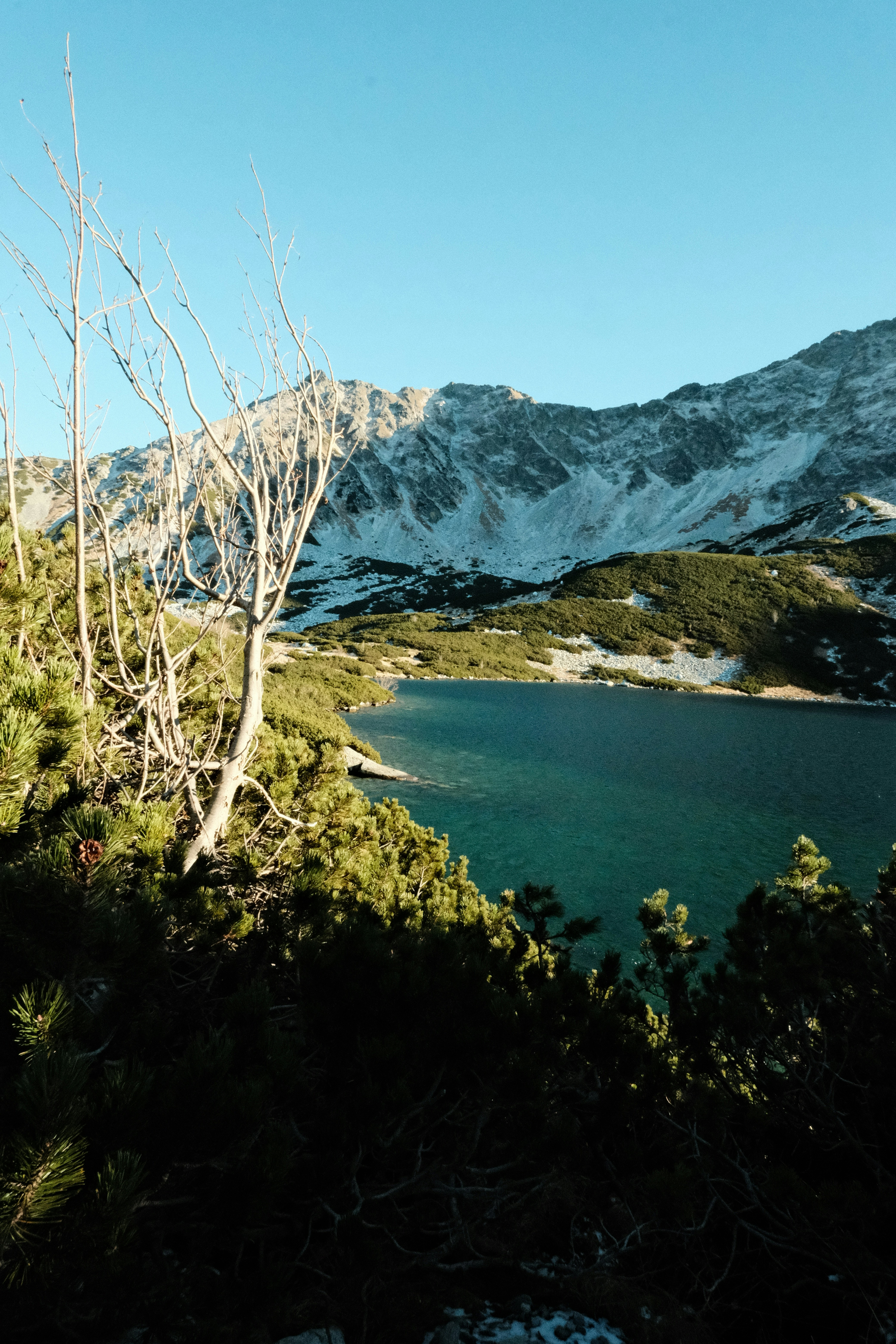 A serene mountain lake surrounded by pine trees and snow.