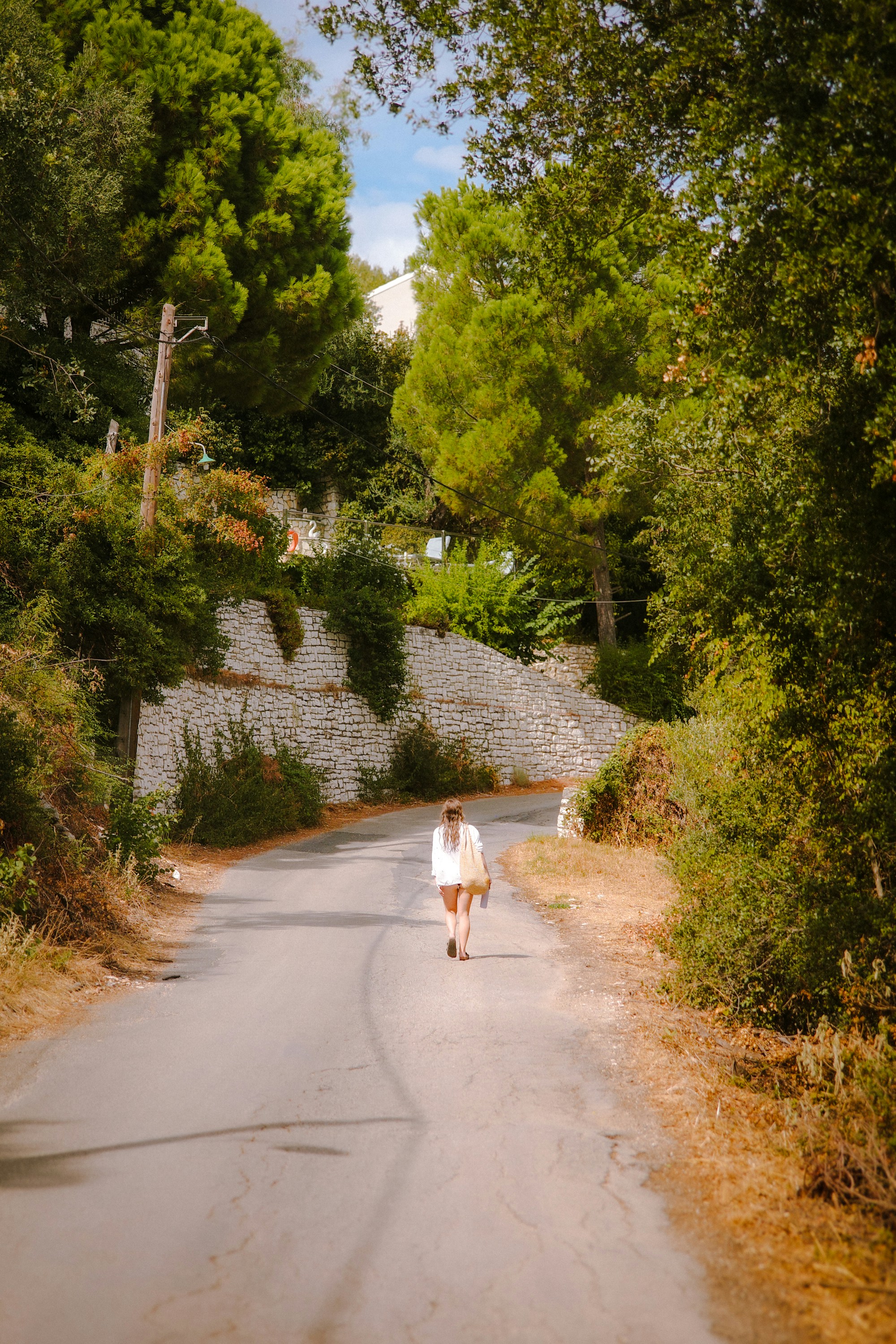 Wanderer on a Serene Path