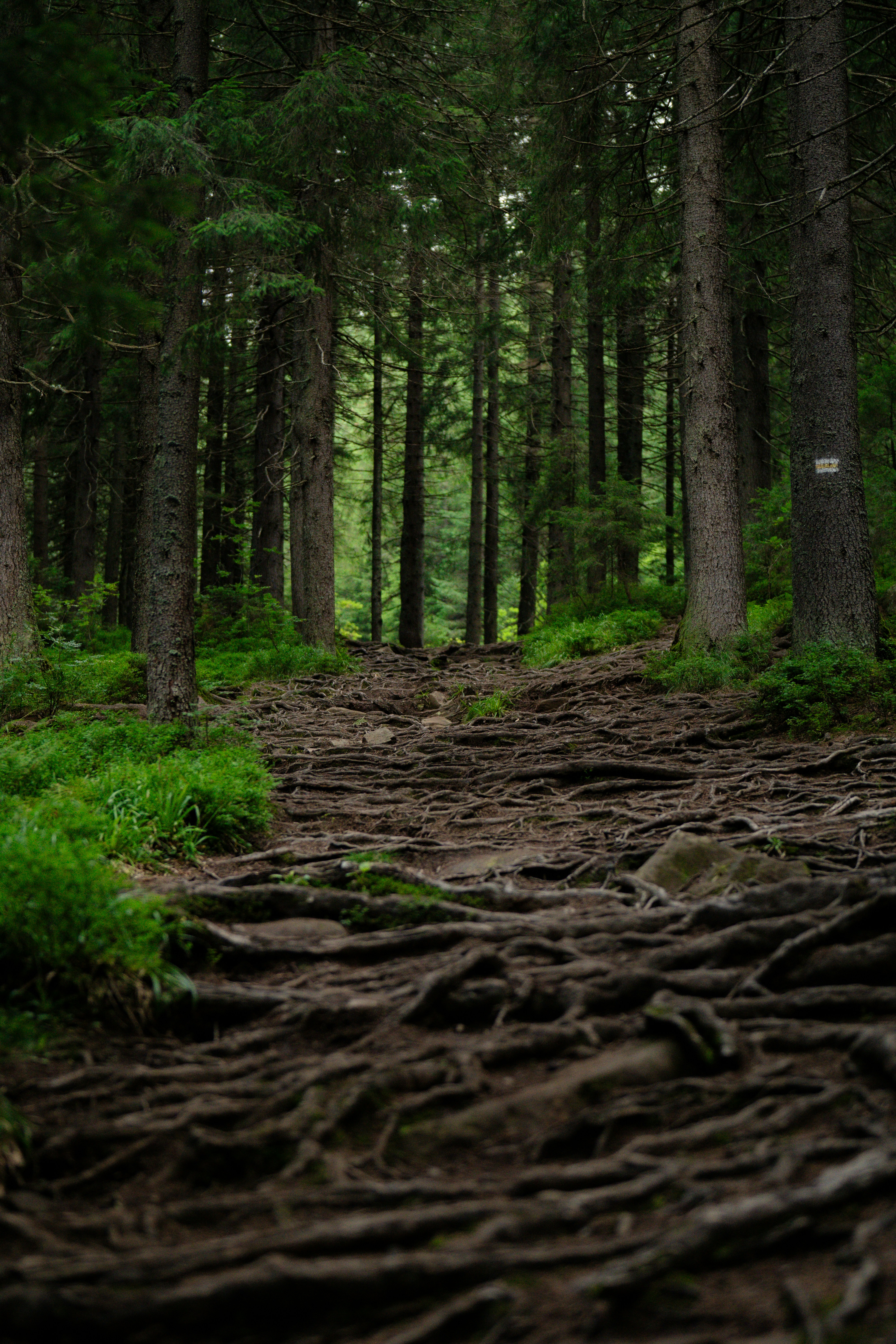 Yuliia Rohozna (@yuliia_ro) | Unsplash 사진 커뮤니티