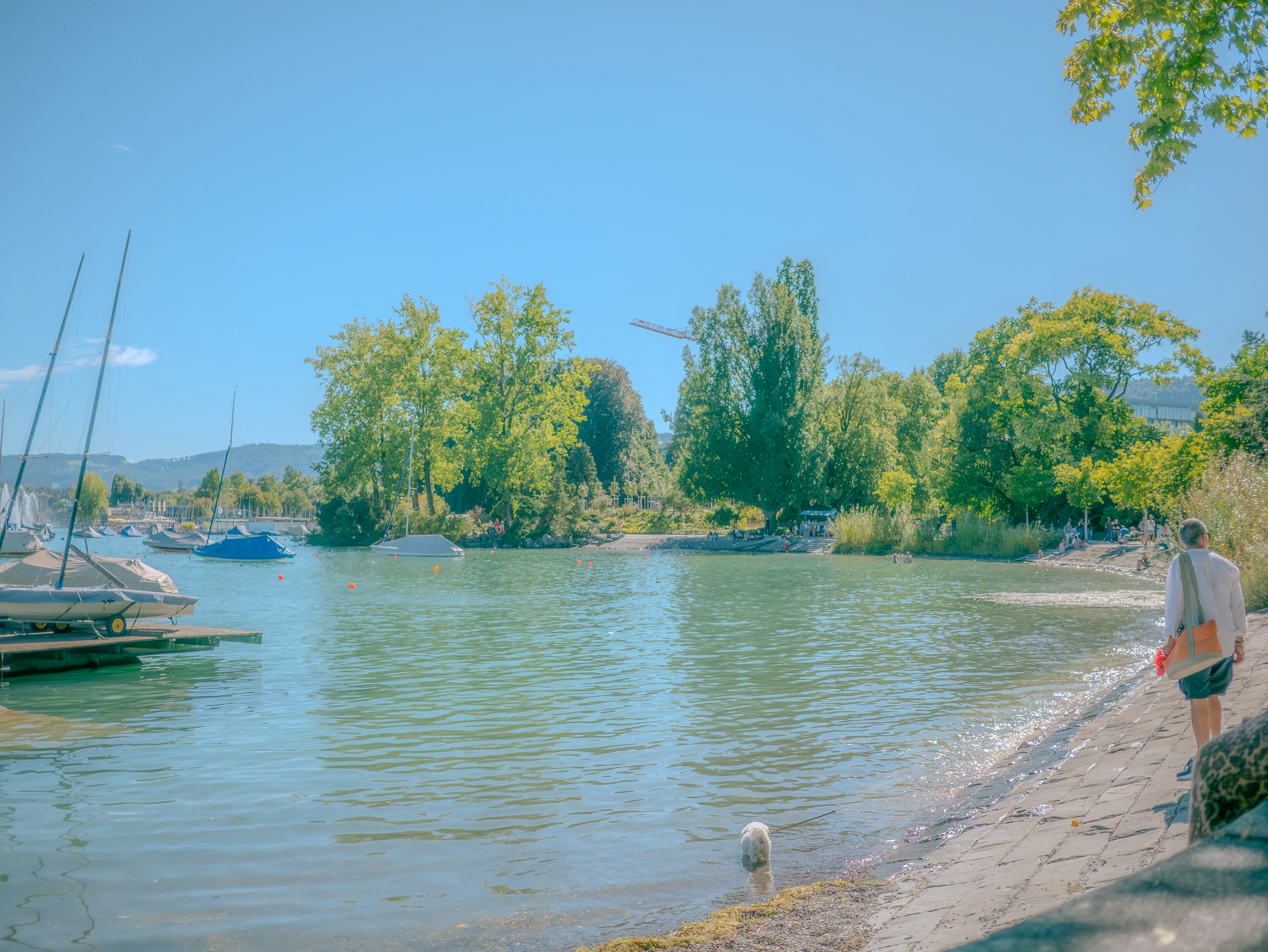 Serenity by the Water's Edge