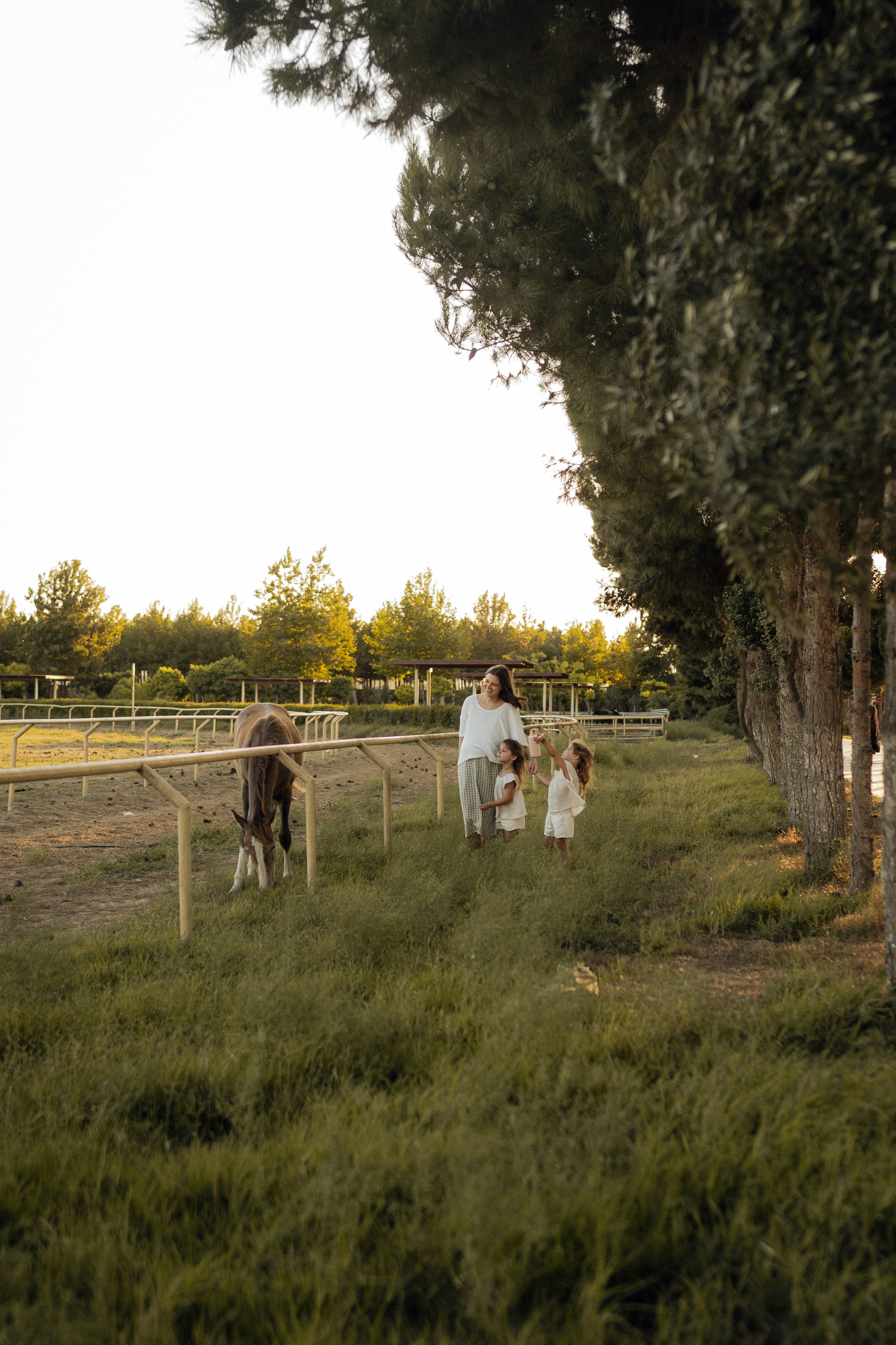 Whispers of the Pasture