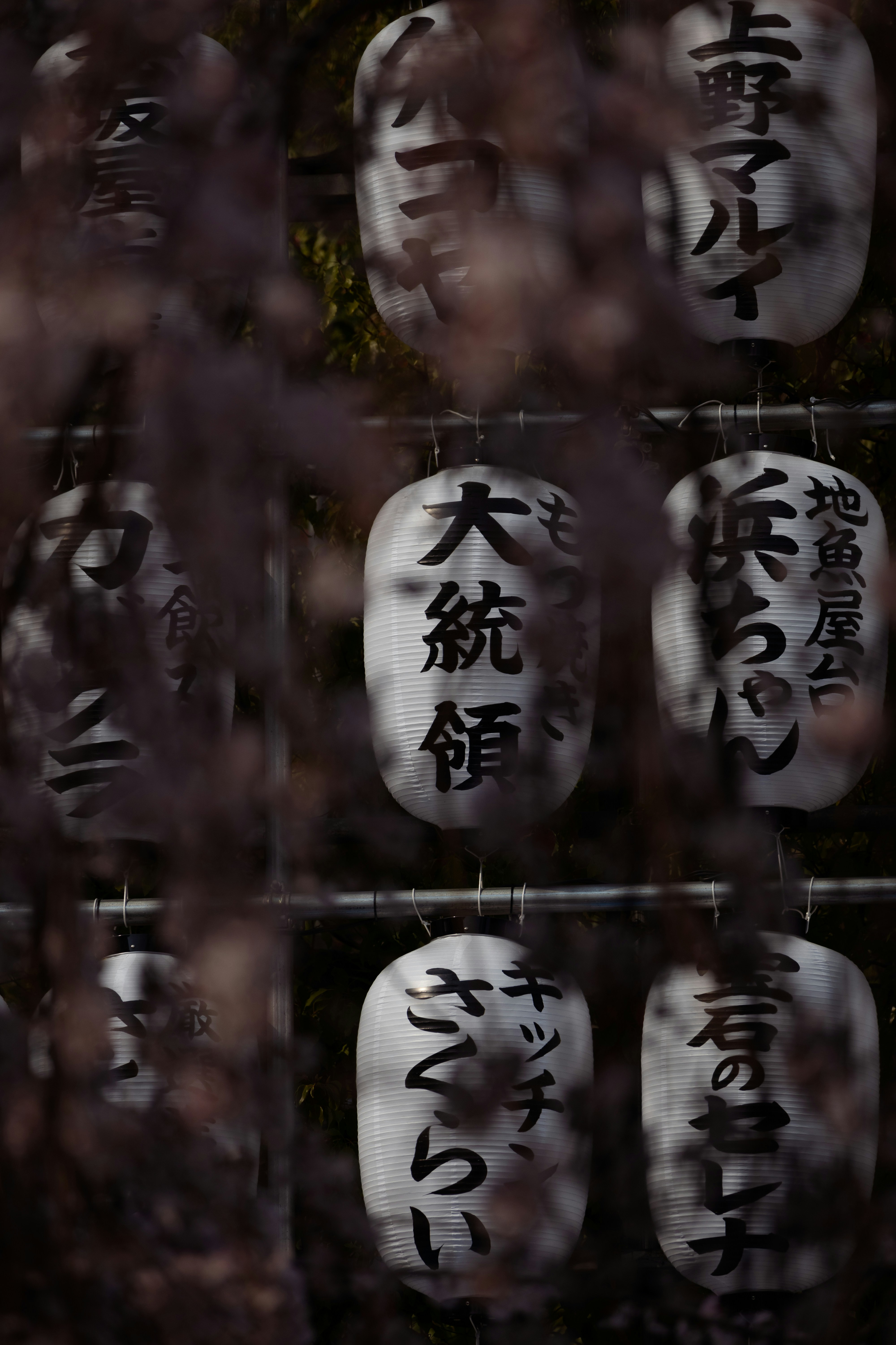 Whispers of Tradition: Lanterns in the Twilight