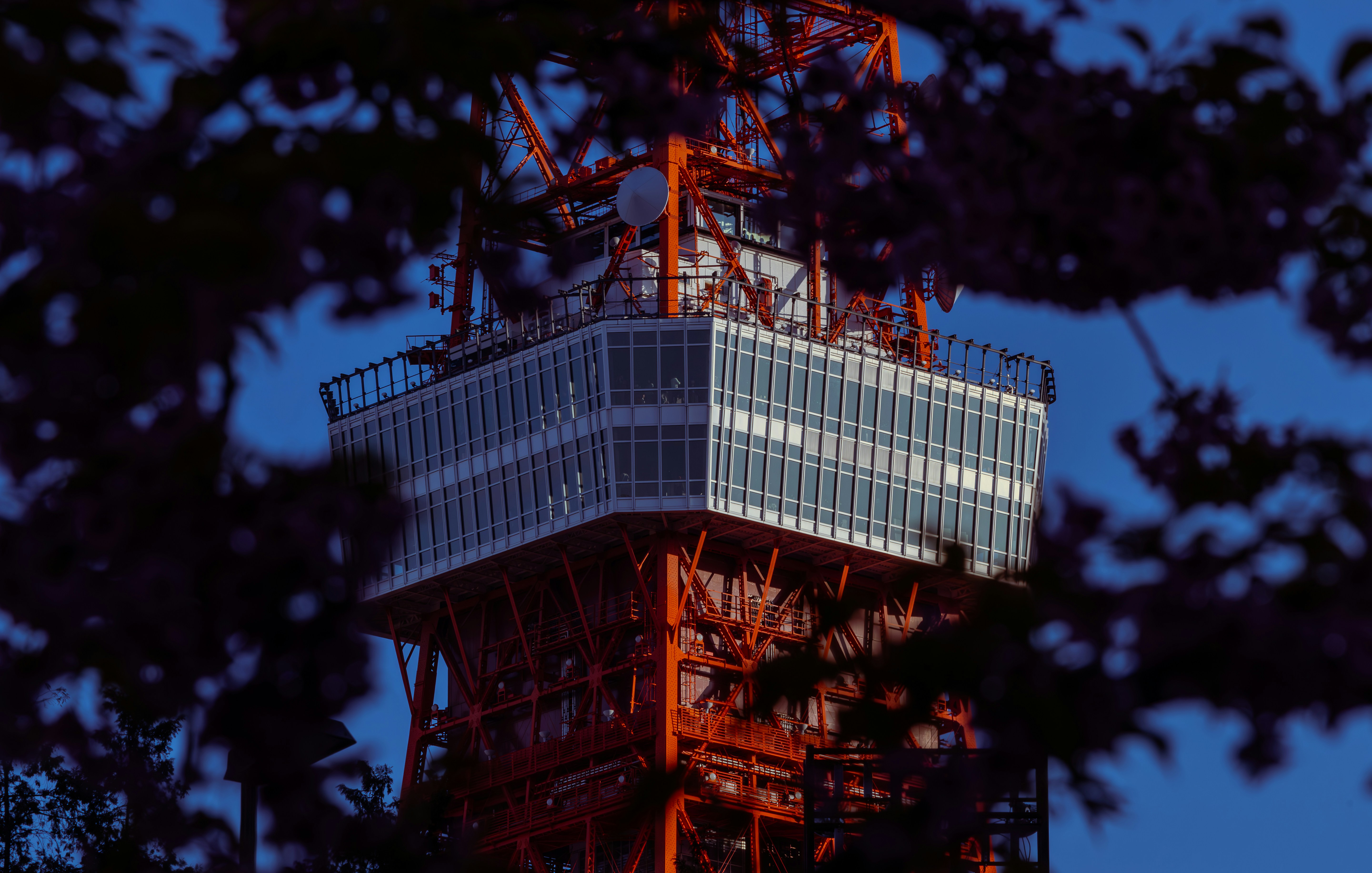 Tokyo Tower framed by cherry blossom branches during twilight, showcasing a blend of nature and architecture.
