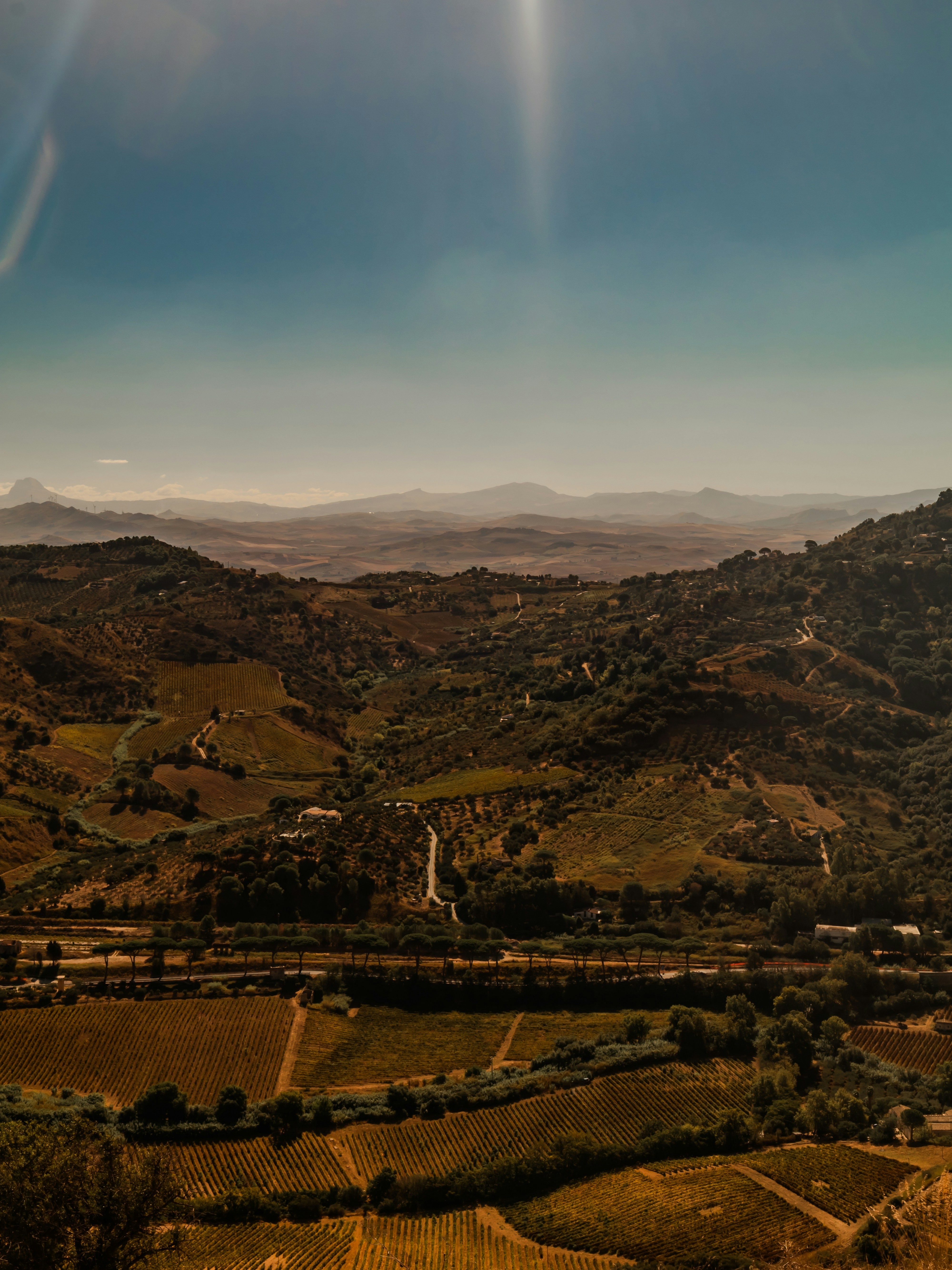 The Serene Tapestry of Terroir