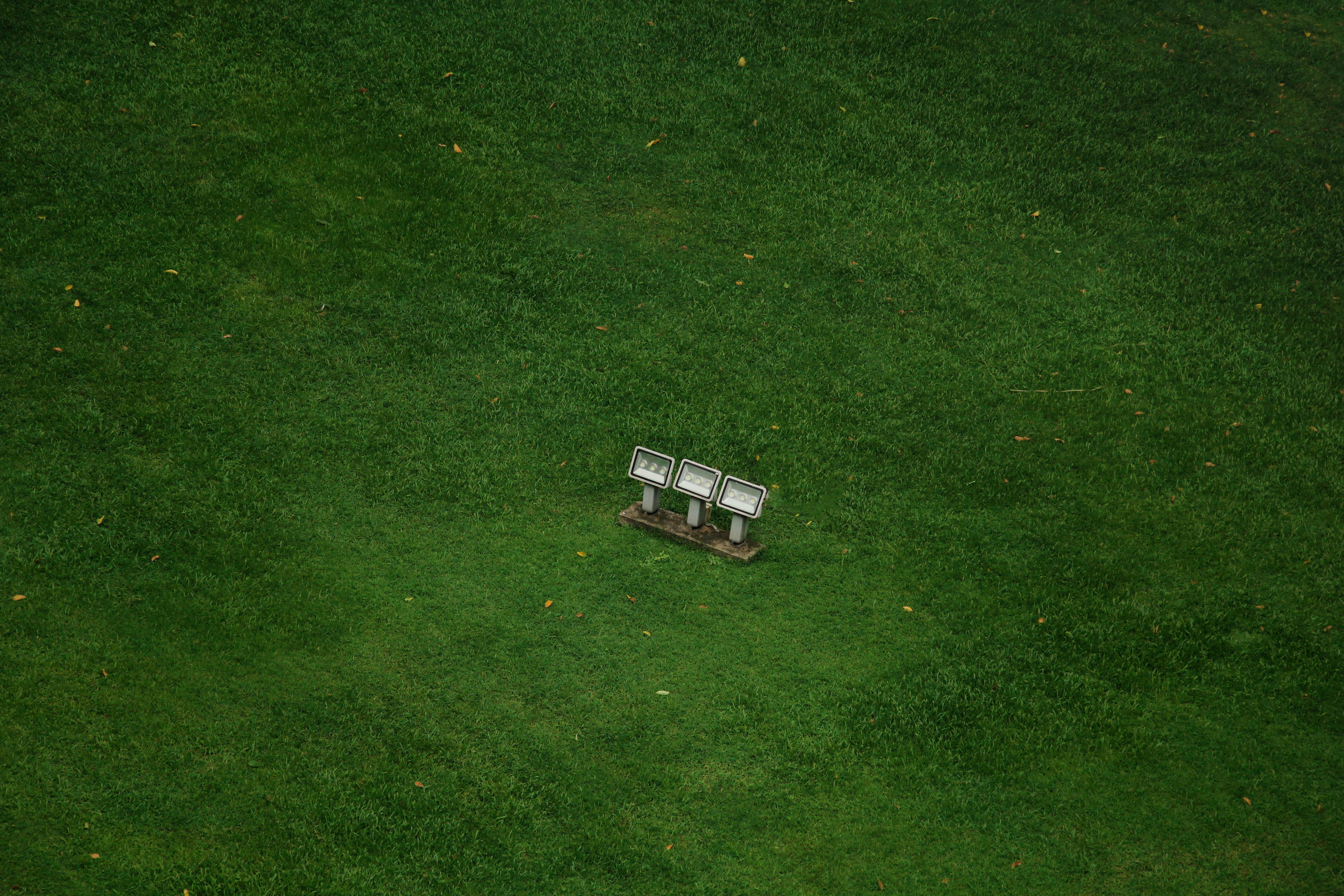 lawn at the "Independence Palace" | Two benches sit on a vast green lawn.