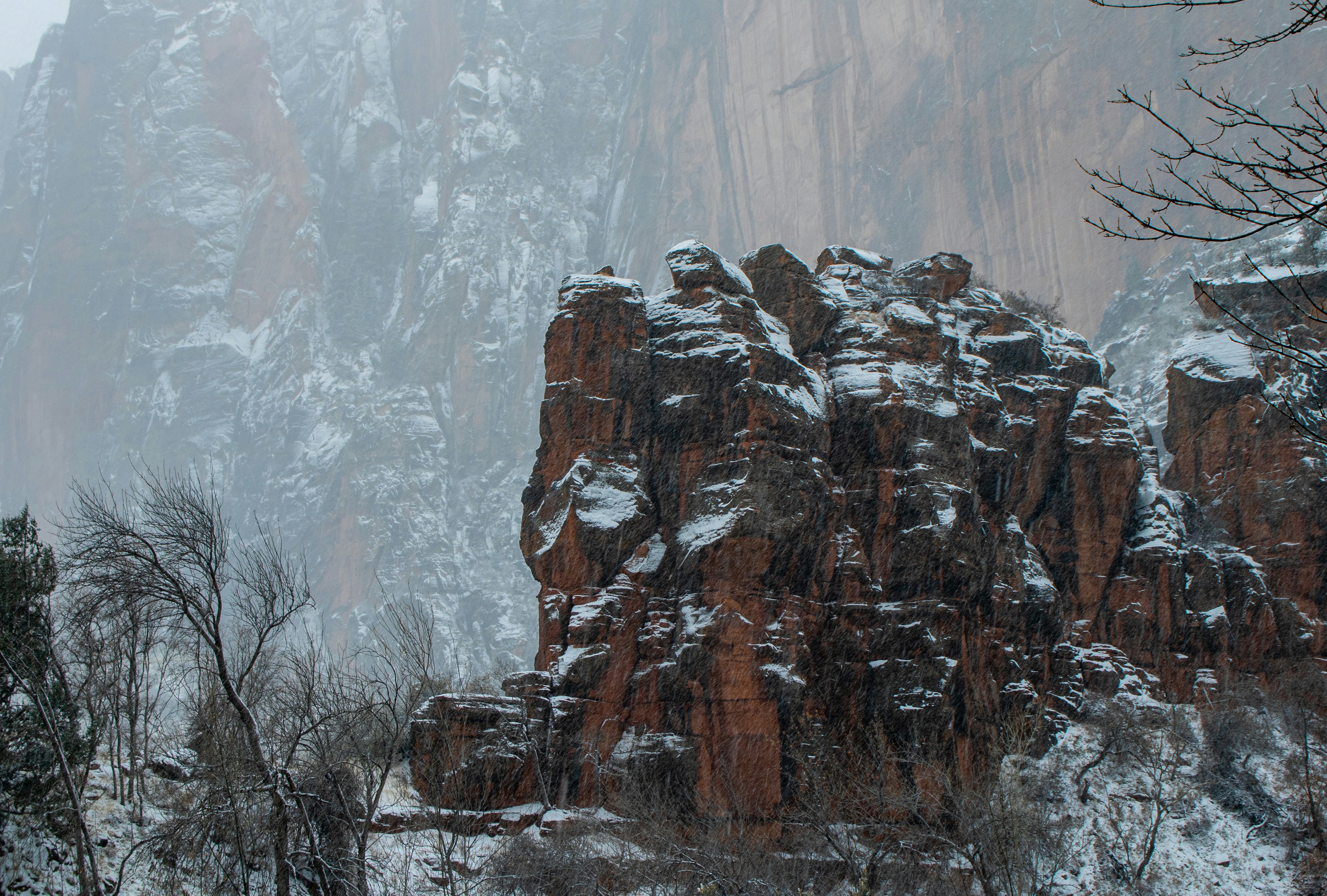 A large rock in Zion National Park on a cold snowy February day in 2025. | Snow-covered rocks and trees in a mountainous landscape.