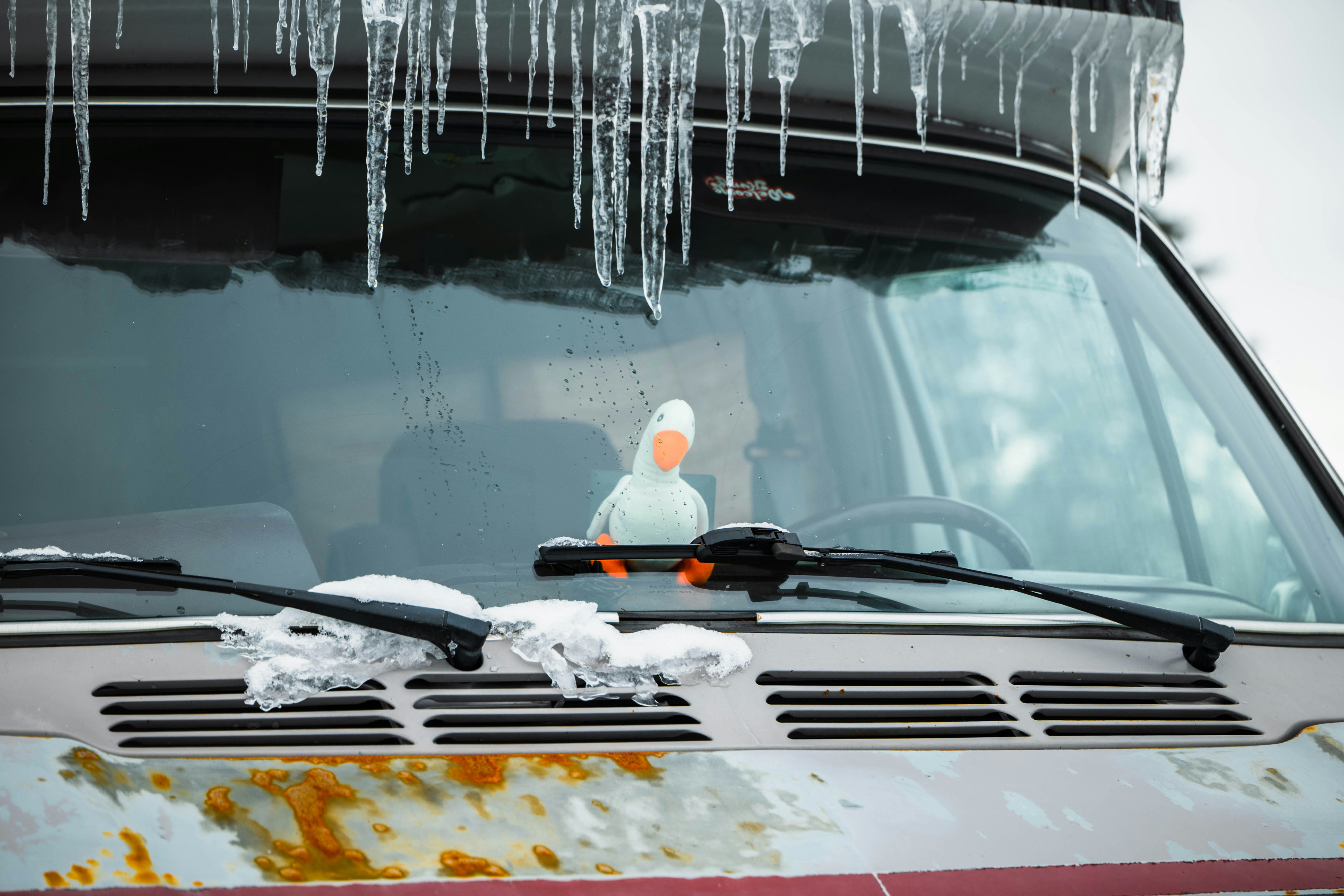 A Winter's Quirk: The Frosty Companion