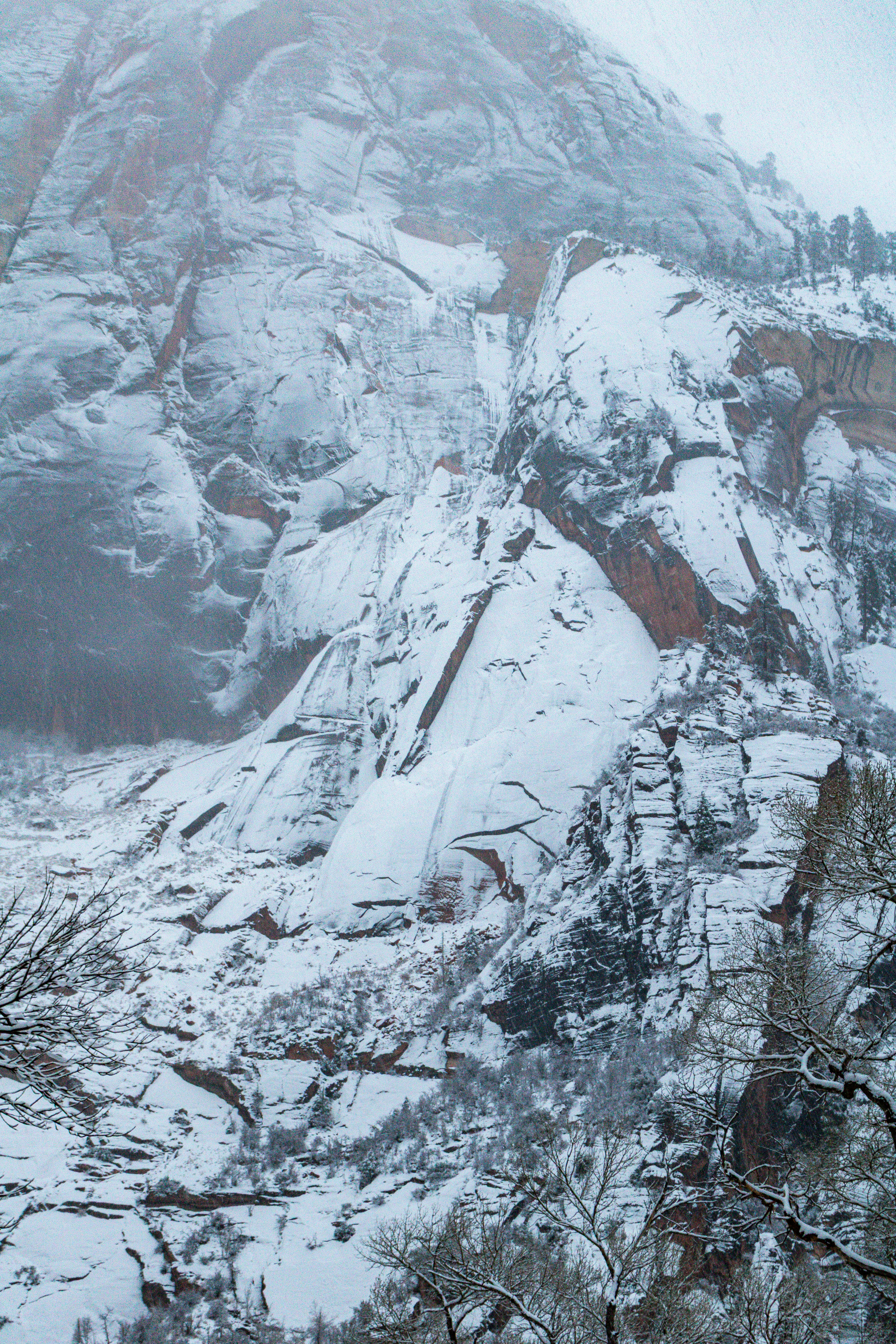 A cold winter day in February 2025 at Zion National Park, USA. | Snow-covered rocky mountainside with trees
