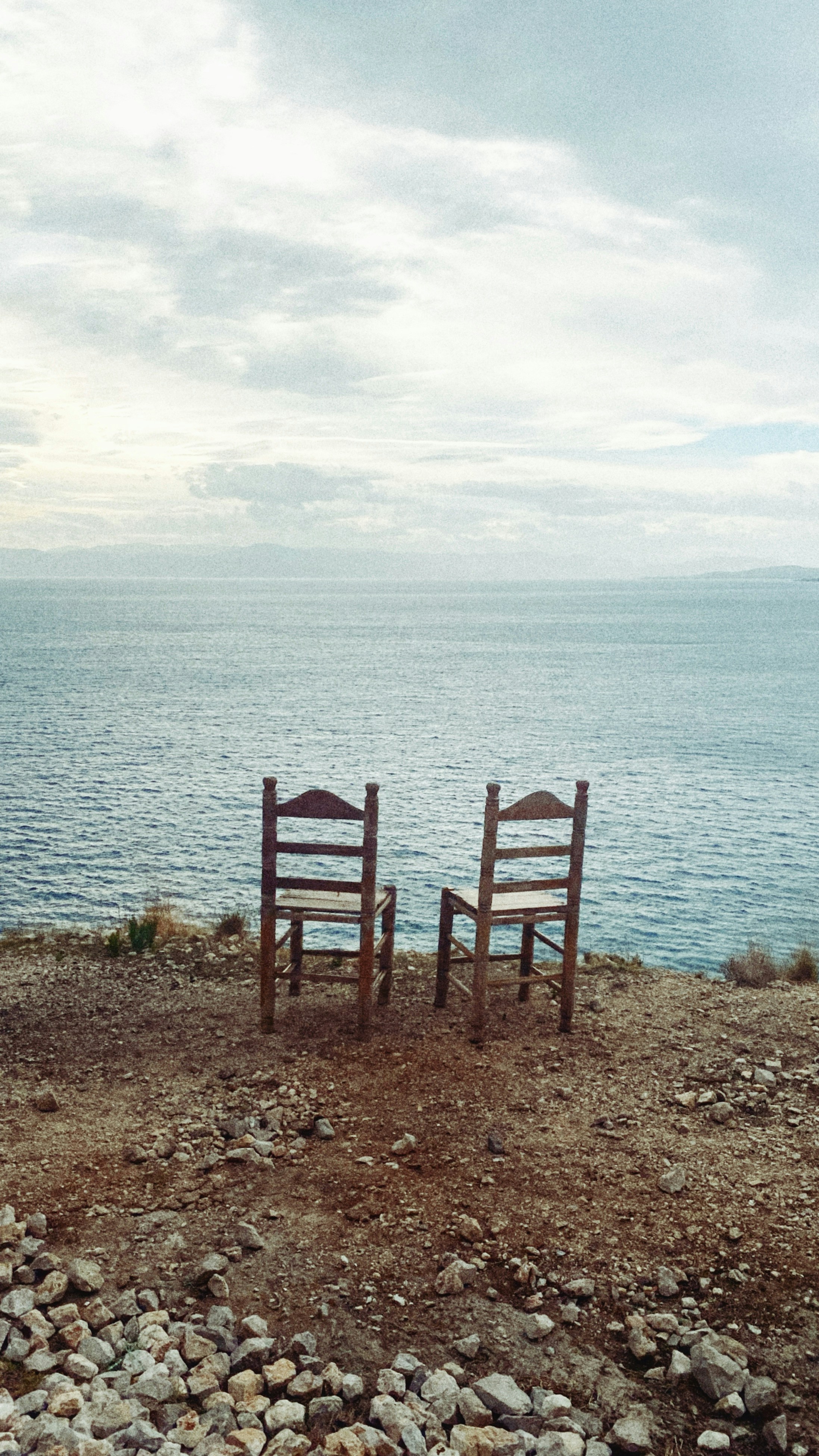 Silent Sentinels by the Shoreline