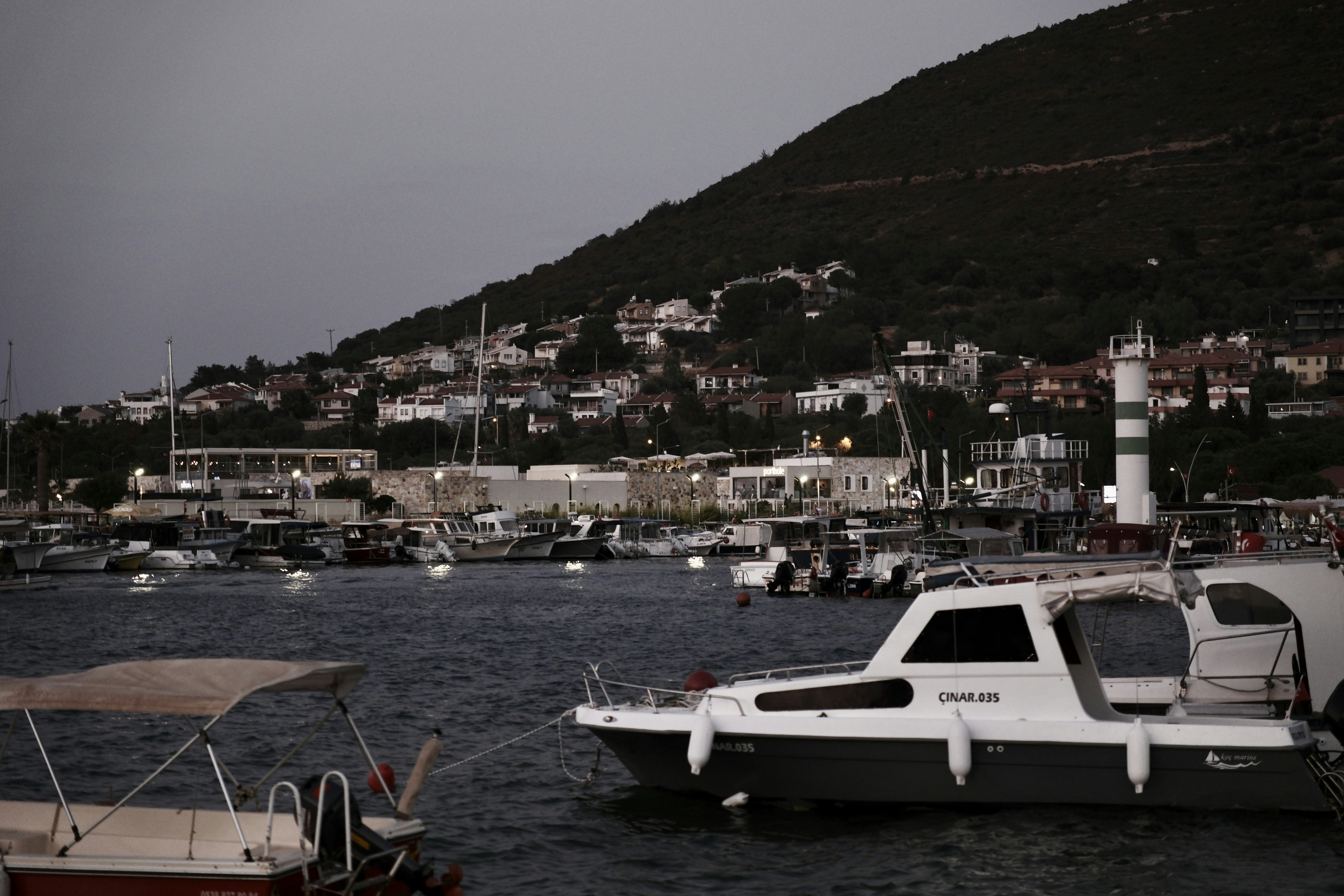 Boats docked in a harbor with a town on a hill.