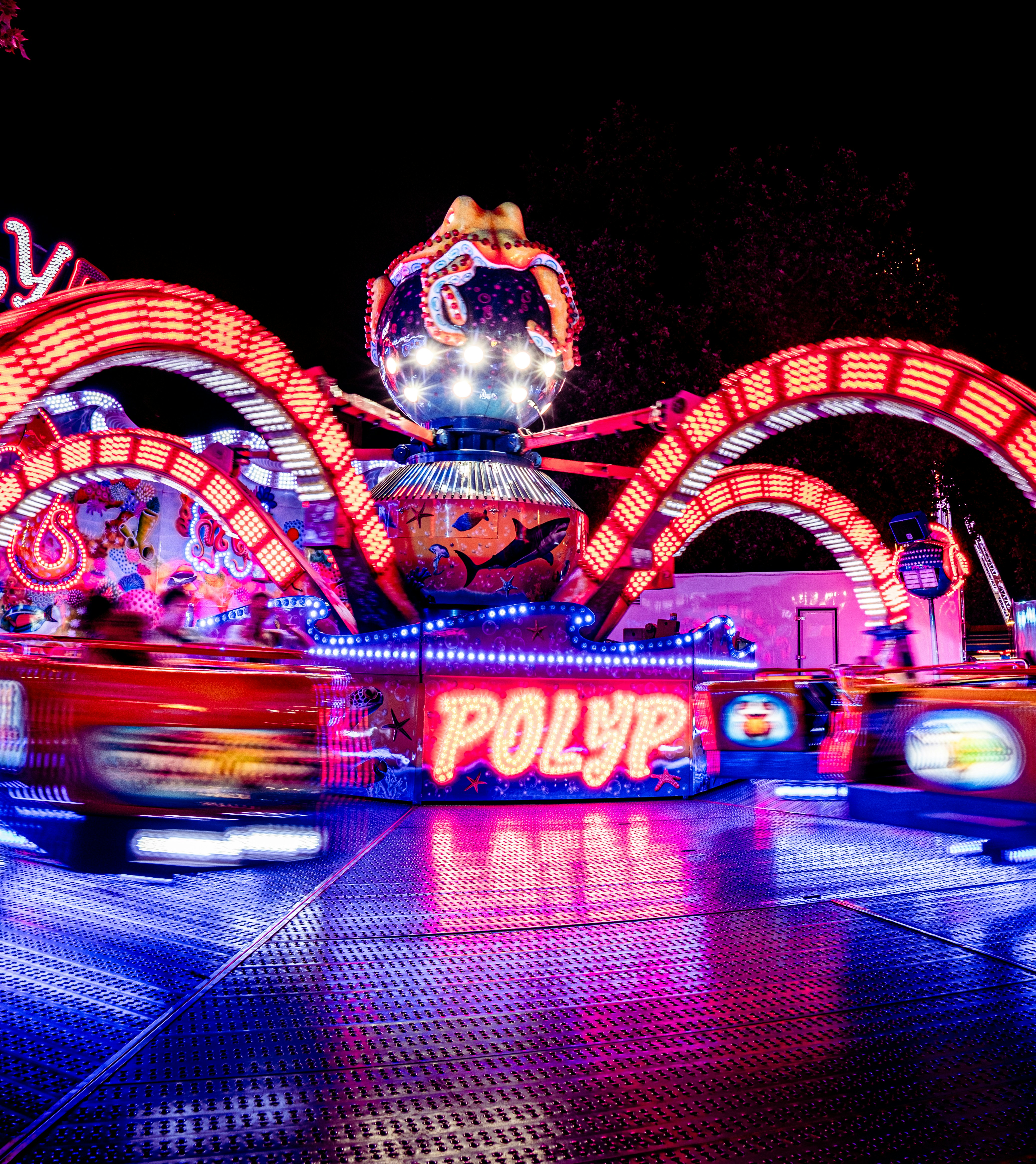 Whirling Lights of Joy: The Polypr Attraction