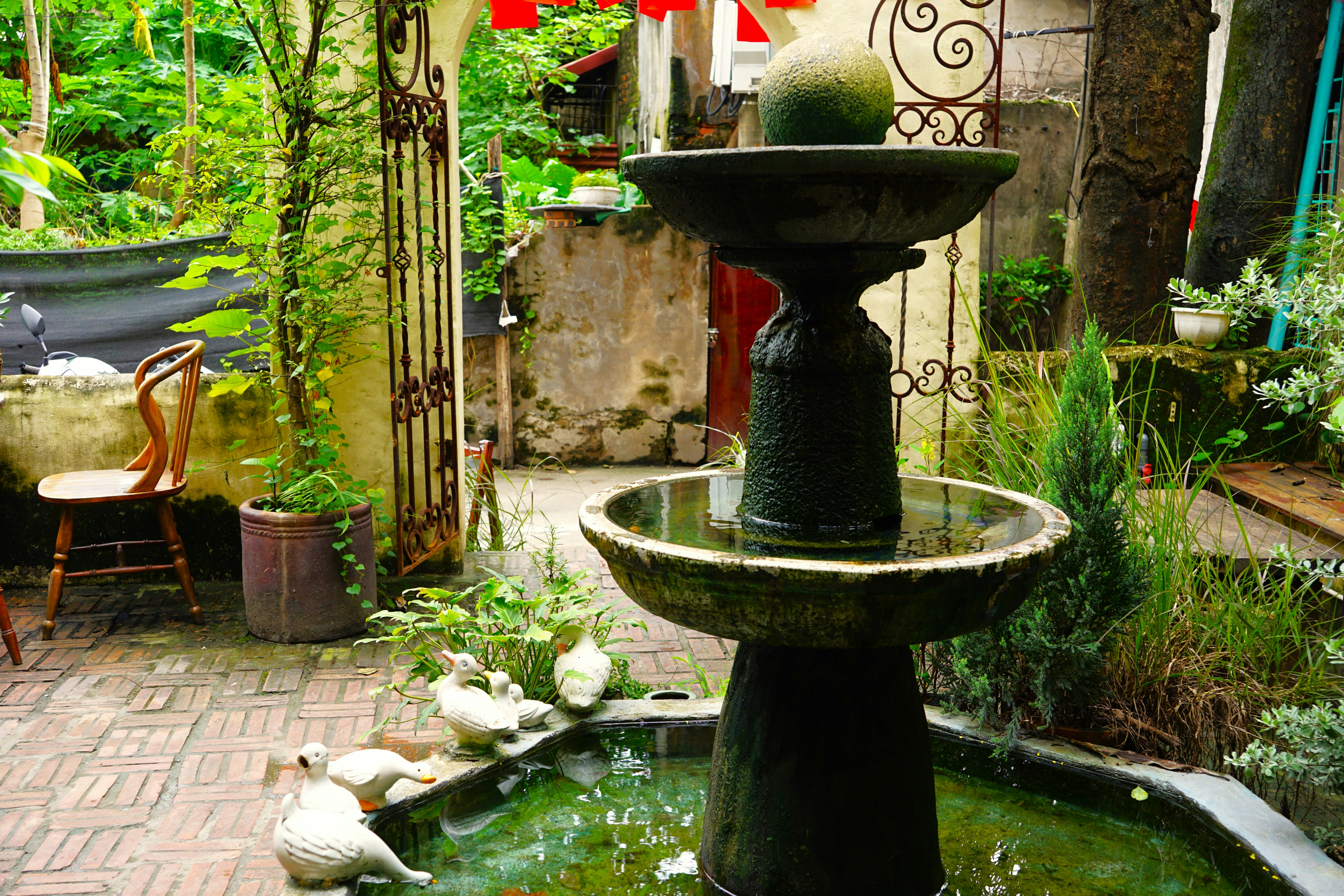 Whispers of Serenity: A Garden Oasis