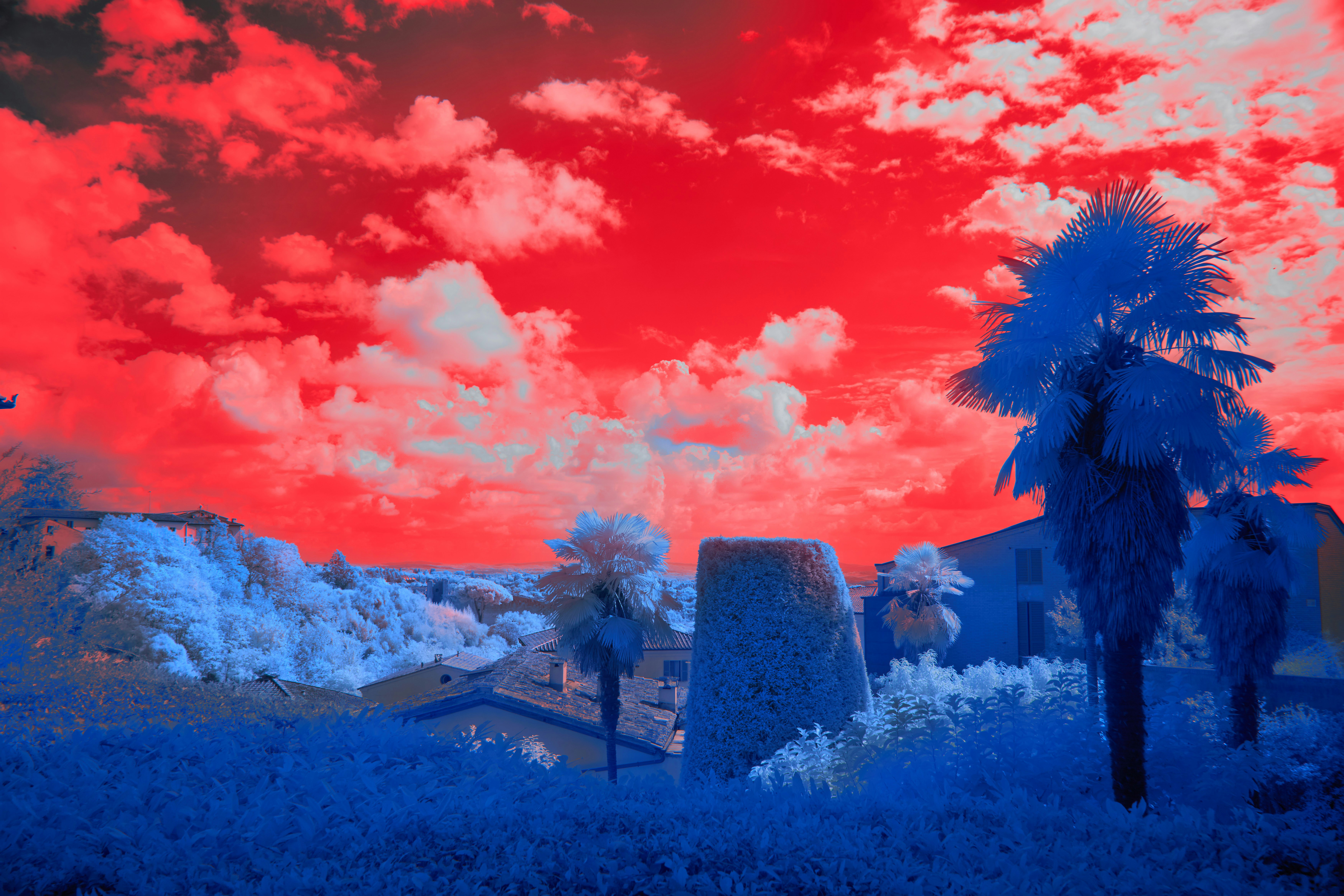 Vivid infrared landscape showcasing palm trees and a stone structure under a dramatic red sky, creating an otherworldly atmosphere.