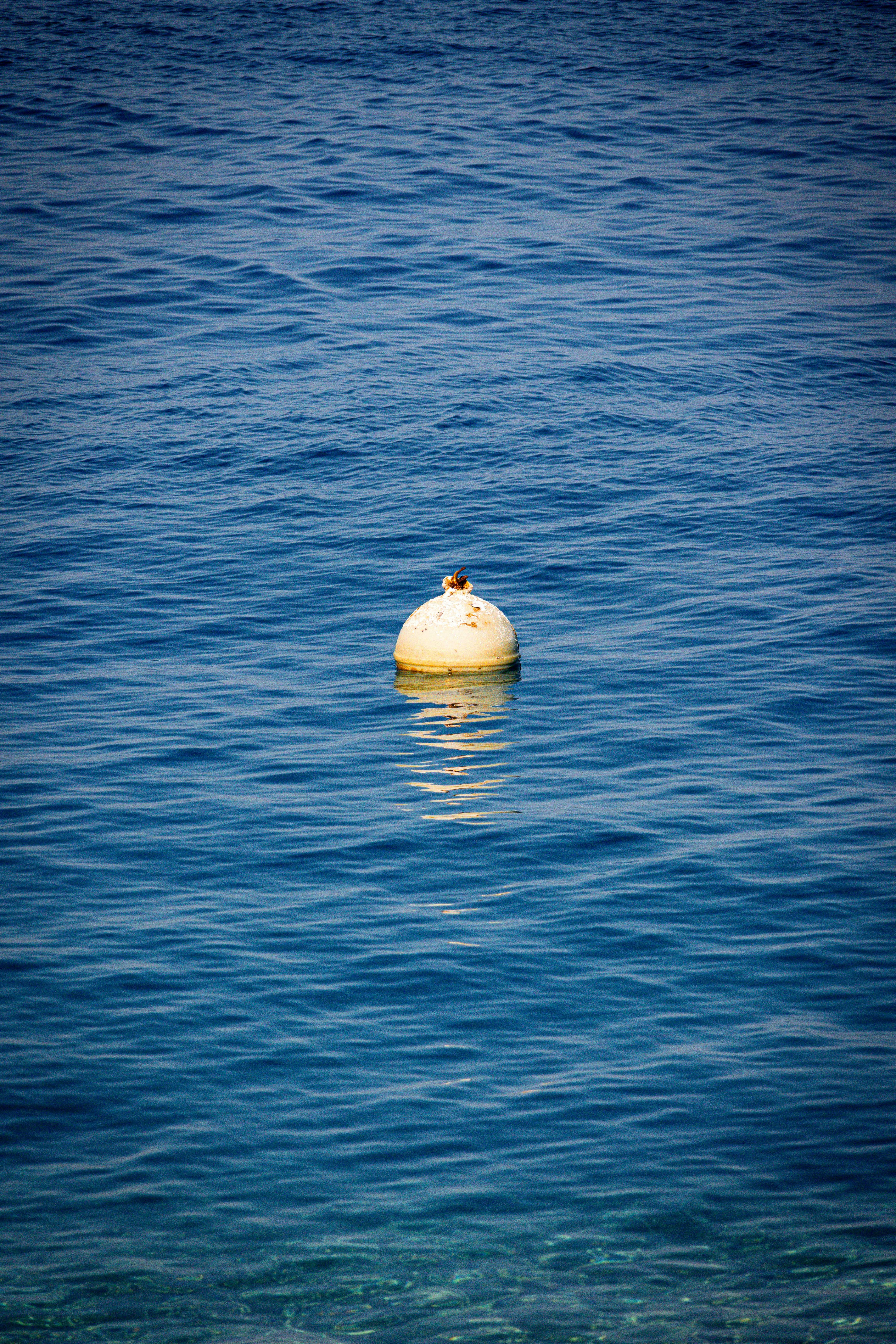A single white buoy floats on the deep blue ocean. photo – Free Sea ...