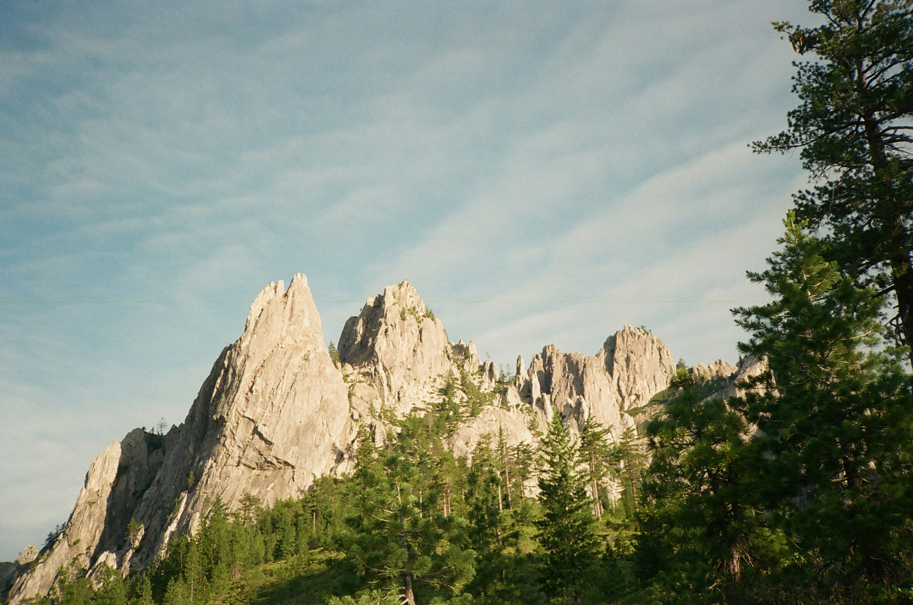 Jagged mountain peaks rise above pine trees photo – Free Green Image on ...