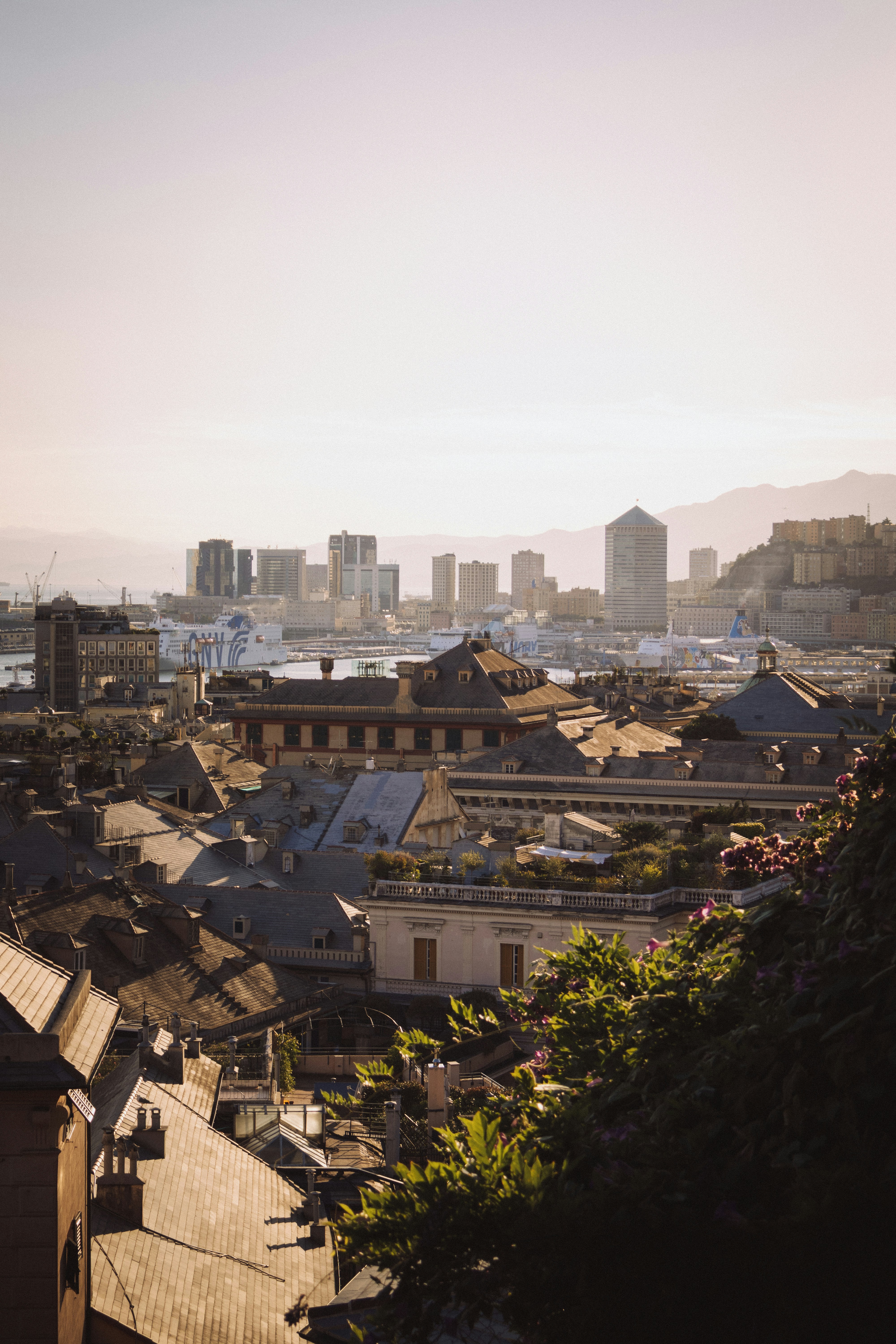 Urban Serenity: A Glimpse of Coastal Architecture