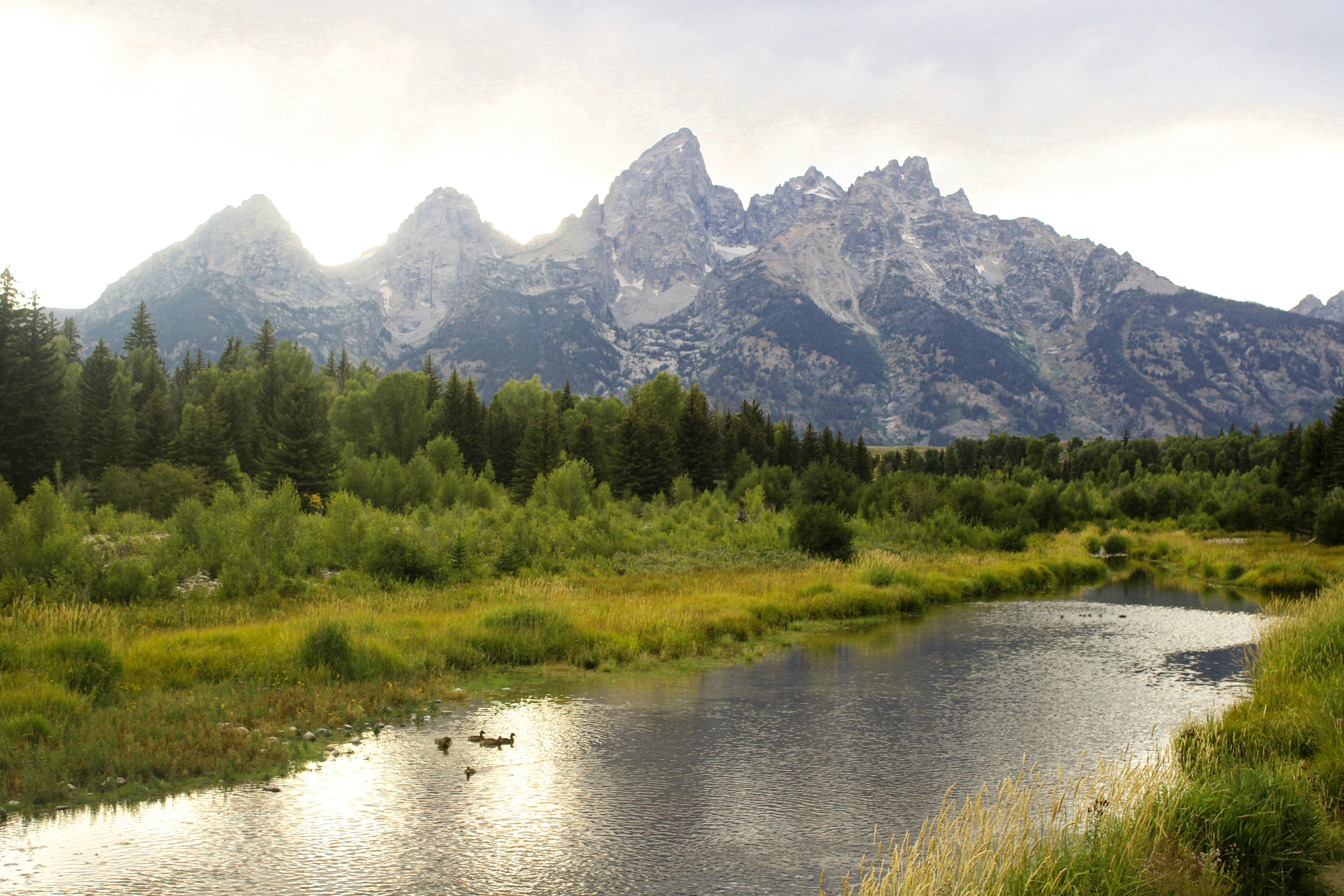 Isaac Quick (@isaacquick1) | Unsplashフォトコミュニティ